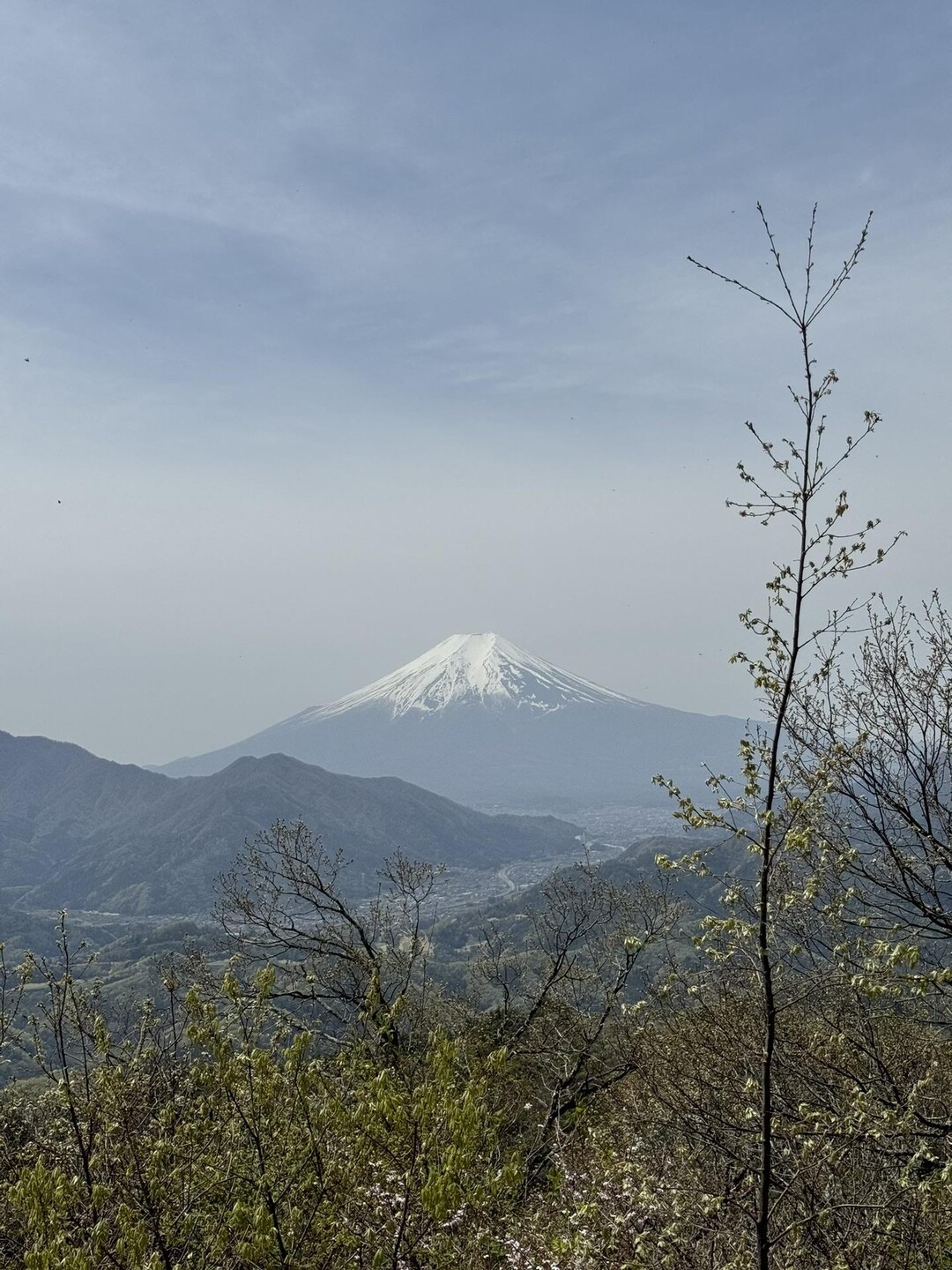 春の高川山、大月まで縦走 / Masako_Mさんの高川山の活動データ | YAMAP / ヤマップ