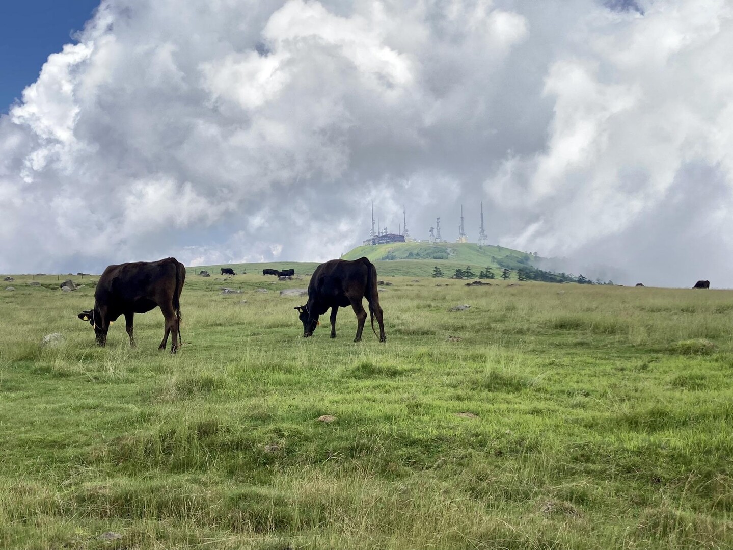 牛伏山・茶臼山 / R.ANDOさんの美ヶ原の活動データ | YAMAP / ヤマップ
