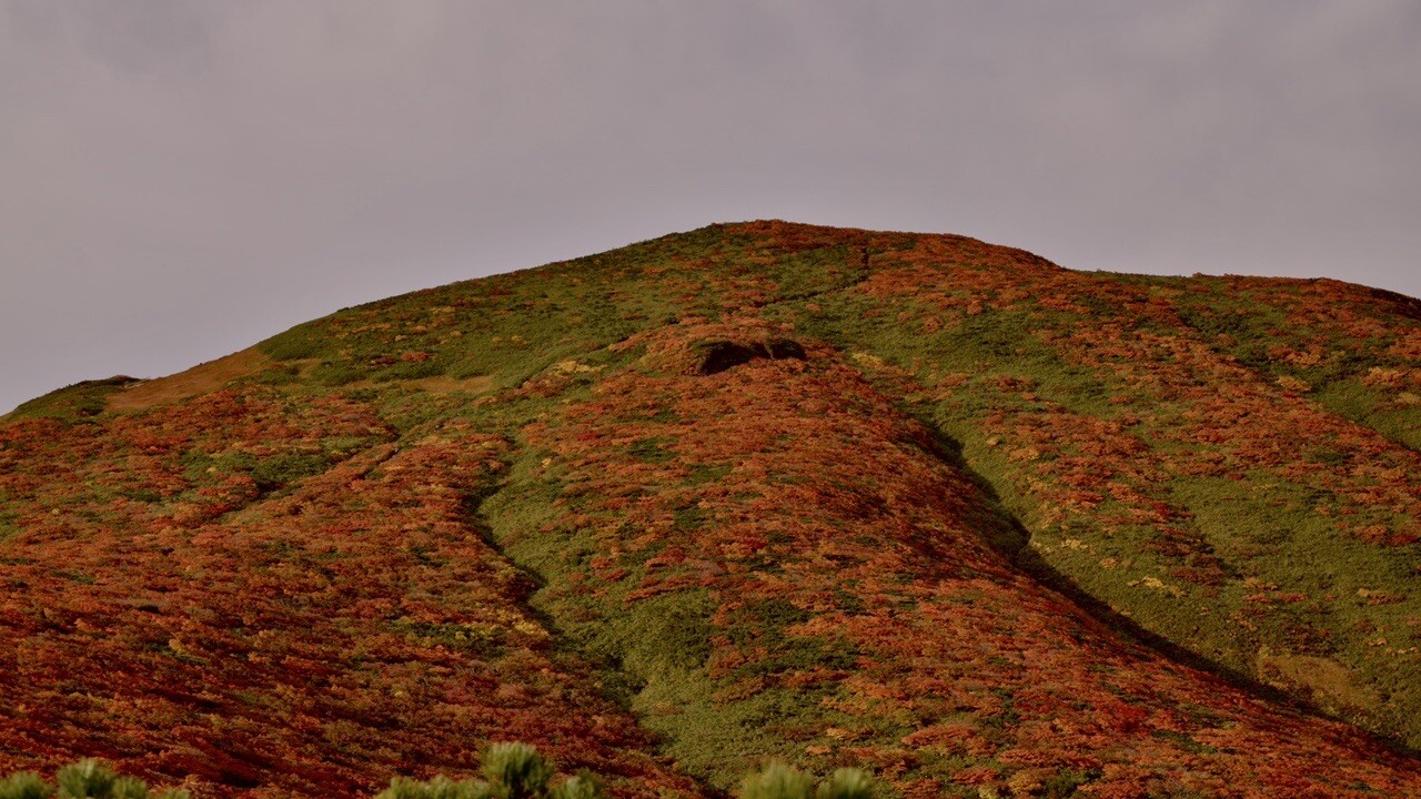 こちらも撮った動画を繋いだだけですが、Y... / skさんのモーメント | YAMAP / ヤマップ
