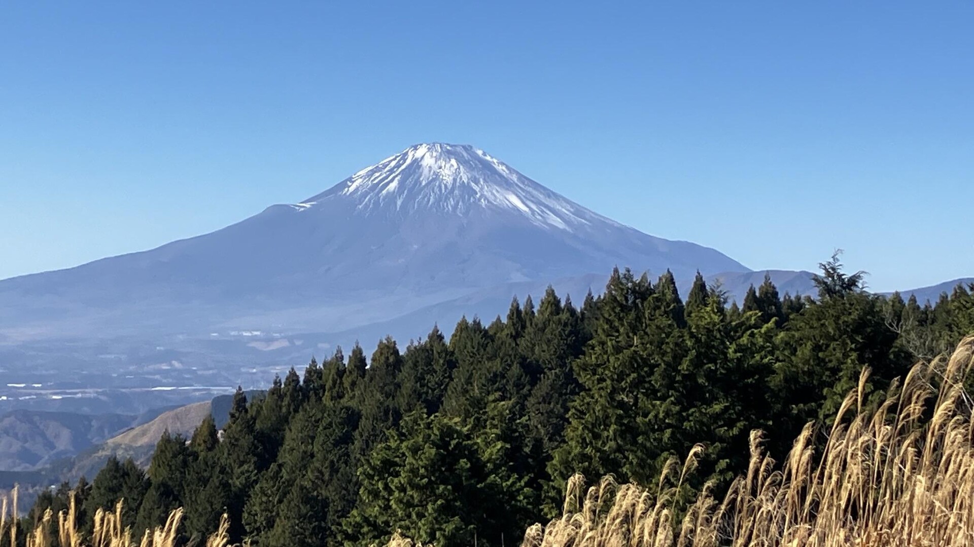 高松山-2023-12-09 / aoさんのウォーキングの活動データ | YAMAP / ヤマップ