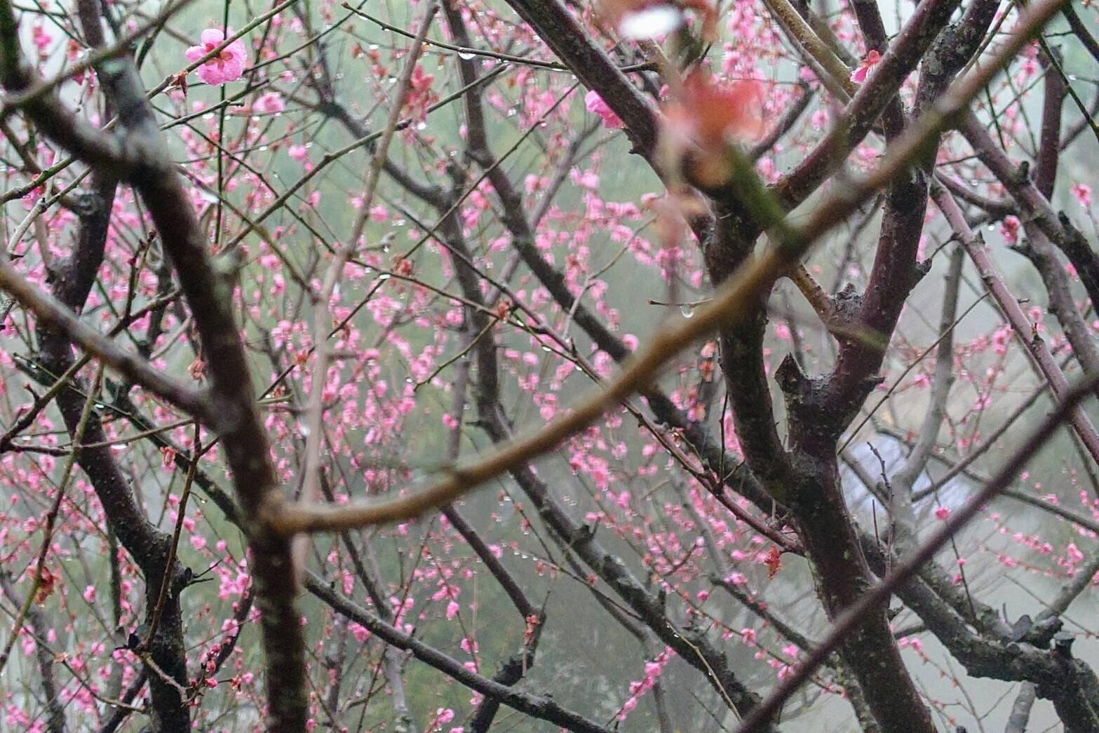 雨の日のお昼休み たまにはゆっくり雨を... / Sky//さんのモーメント | YAMAP / ヤマップ