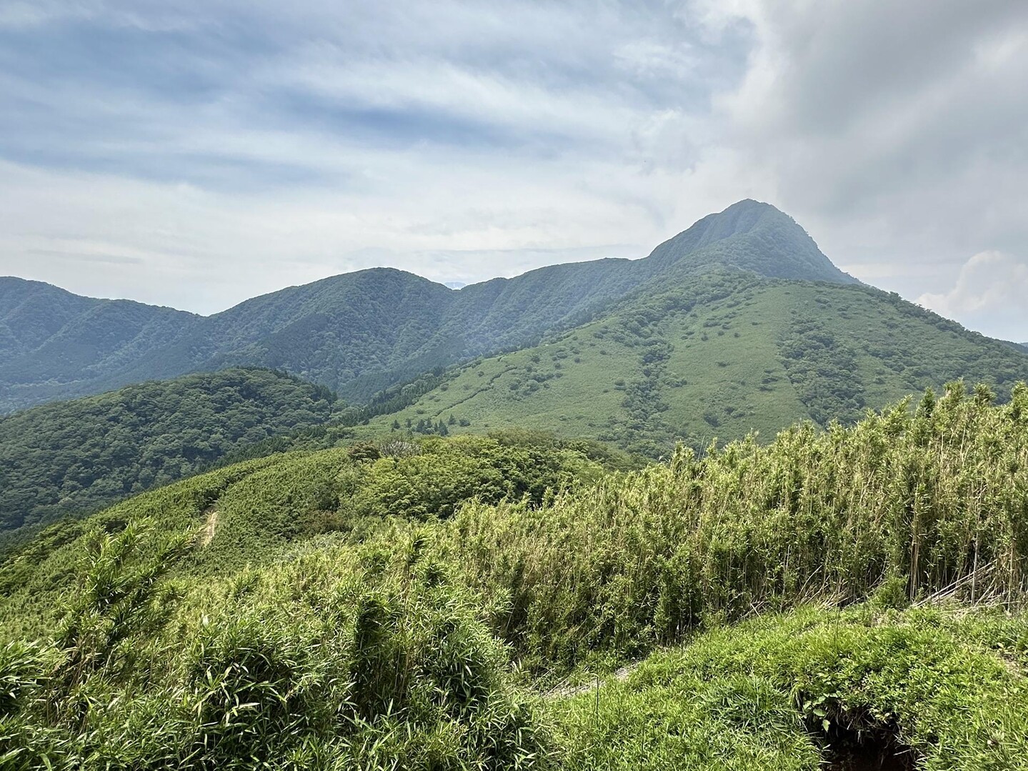 金時山・火打石山・明神ヶ岳 / Amyさんの金時山・明神ヶ岳の活動データ | YAMAP / ヤマップ