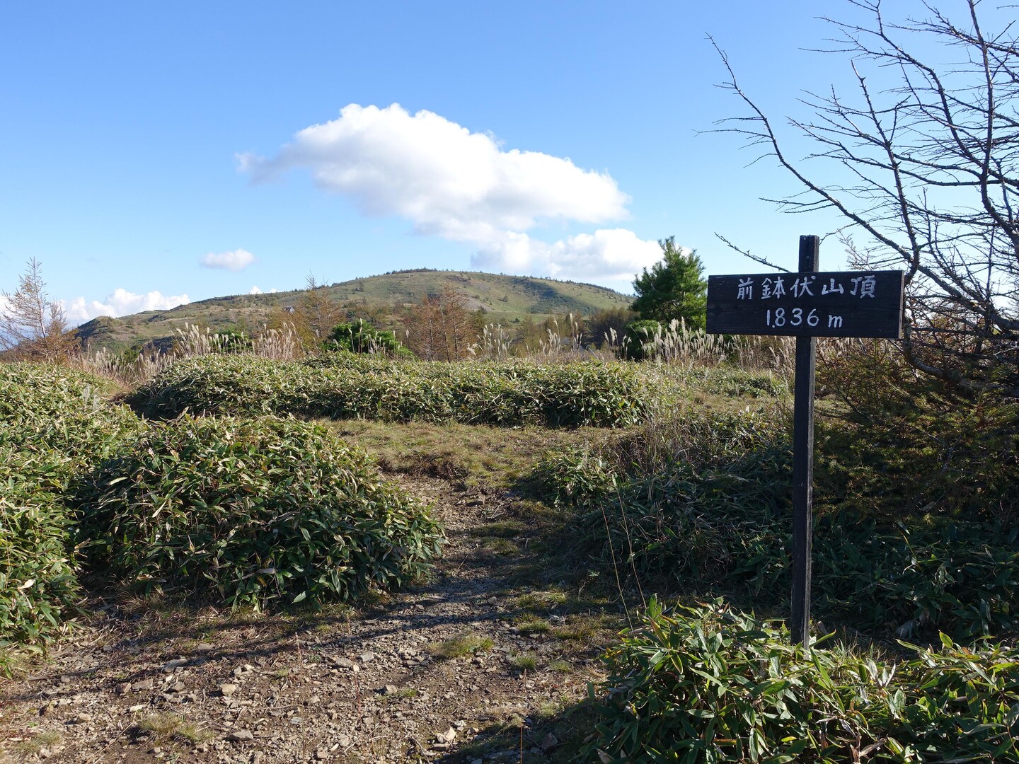 鉢伏山⛰️/日本三百名山 / N7さんの鉢伏山・高ボッチ山・三峰山の活動データ | YAMAP / ヤマップ