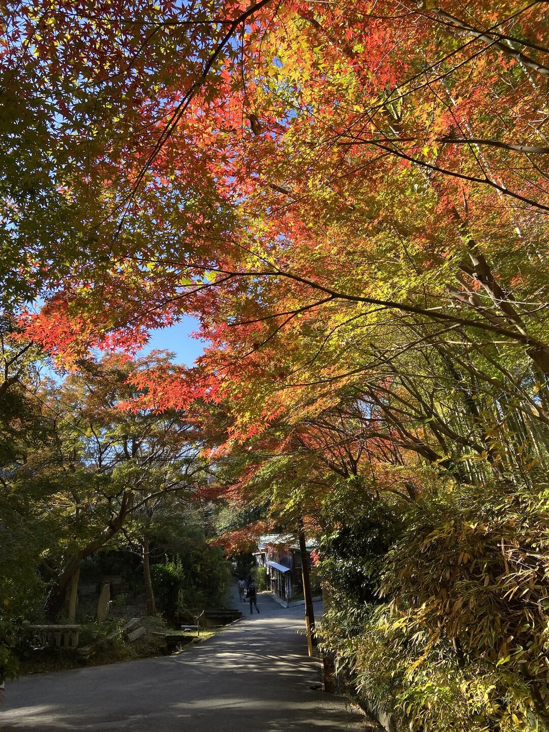 勝上山・鷲峰山・大平山・天園 / naoさんの鎌倉アルプス（大平山・天台山）の活動データ | YAMAP / ヤマップ