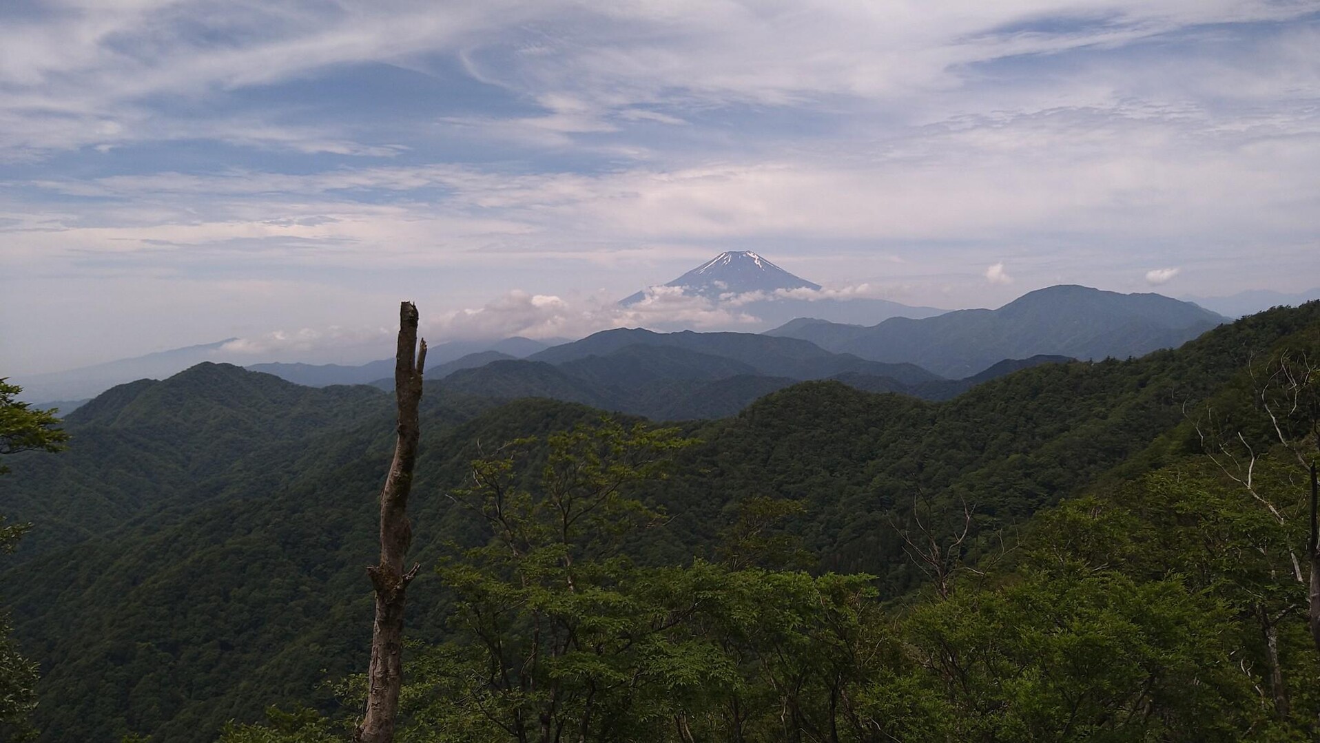 加入道山・前大室・大室山 / Oっchanさんの塔ノ岳・丹沢山・蛭ヶ岳の活動データ | YAMAP / ヤマップ