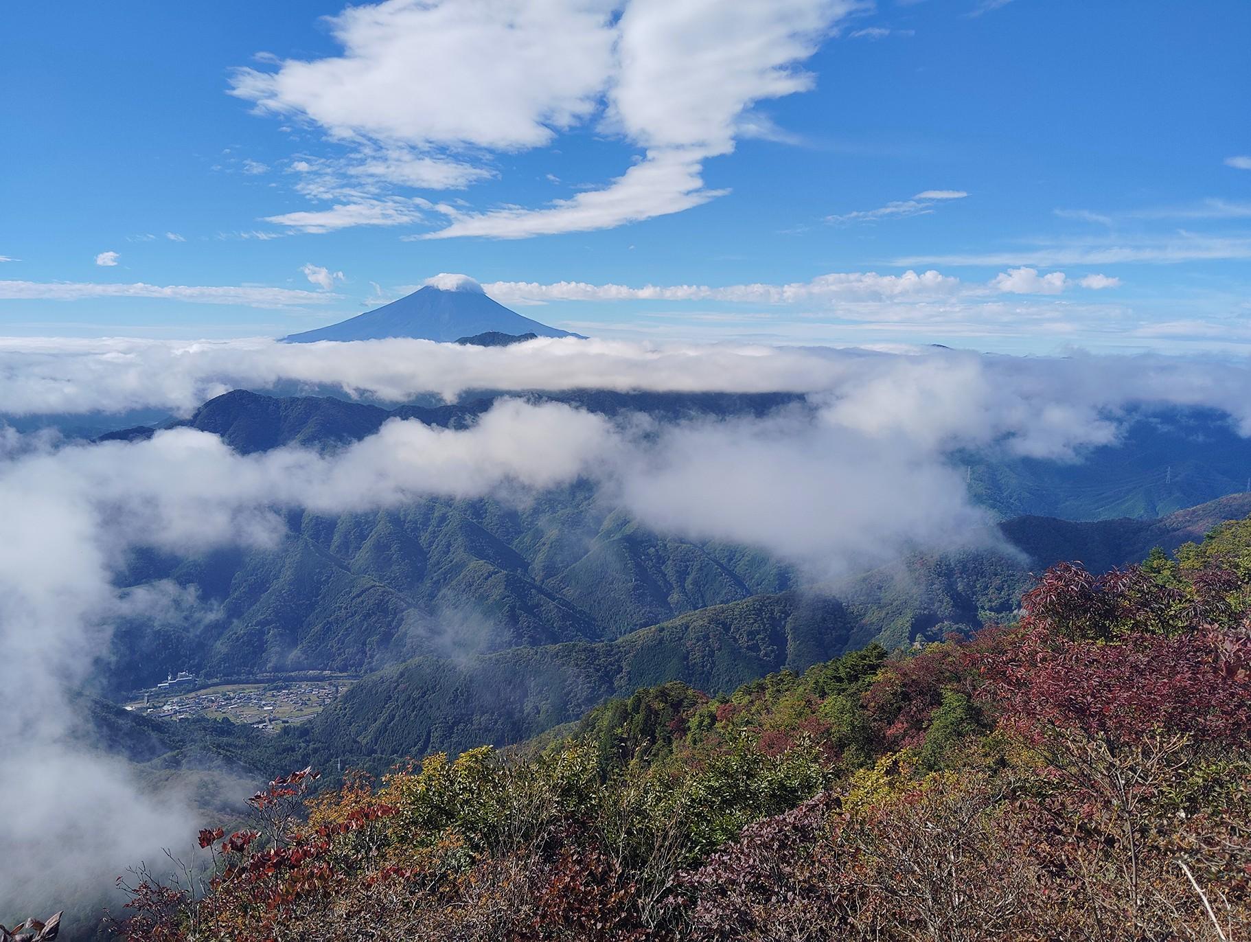 寂しょう尾根〜滝子山と高川山。 / kouさんの滝子山・大谷ヶ丸・笹子雁ヶ腹摺山の活動データ | YAMAP / ヤマップ