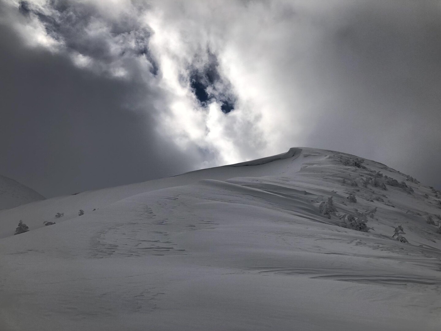 西法寺森BC 山頂直下まで（青森スプリングスキーリゾートから） / snow@ystさんの岩木山（岩鬼山）・鳥海山・鍋森山の活動データ | YAMAP / ヤマップ