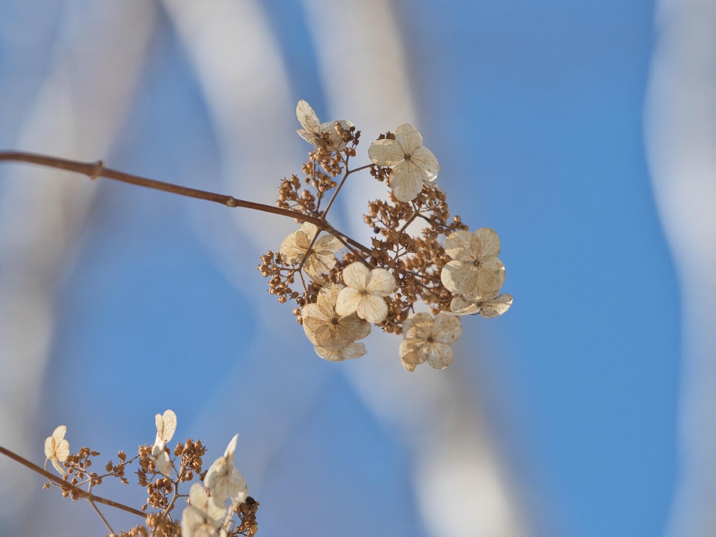 登らなきゃ💦 / yuzuさんの藻岩山の活動データ | YAMAP / ヤマップ