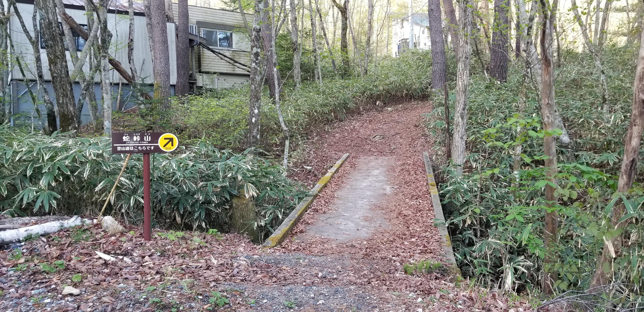 fuku🐤fukuさんの投稿したフィールドメモ | YAMAP / ヤマップ