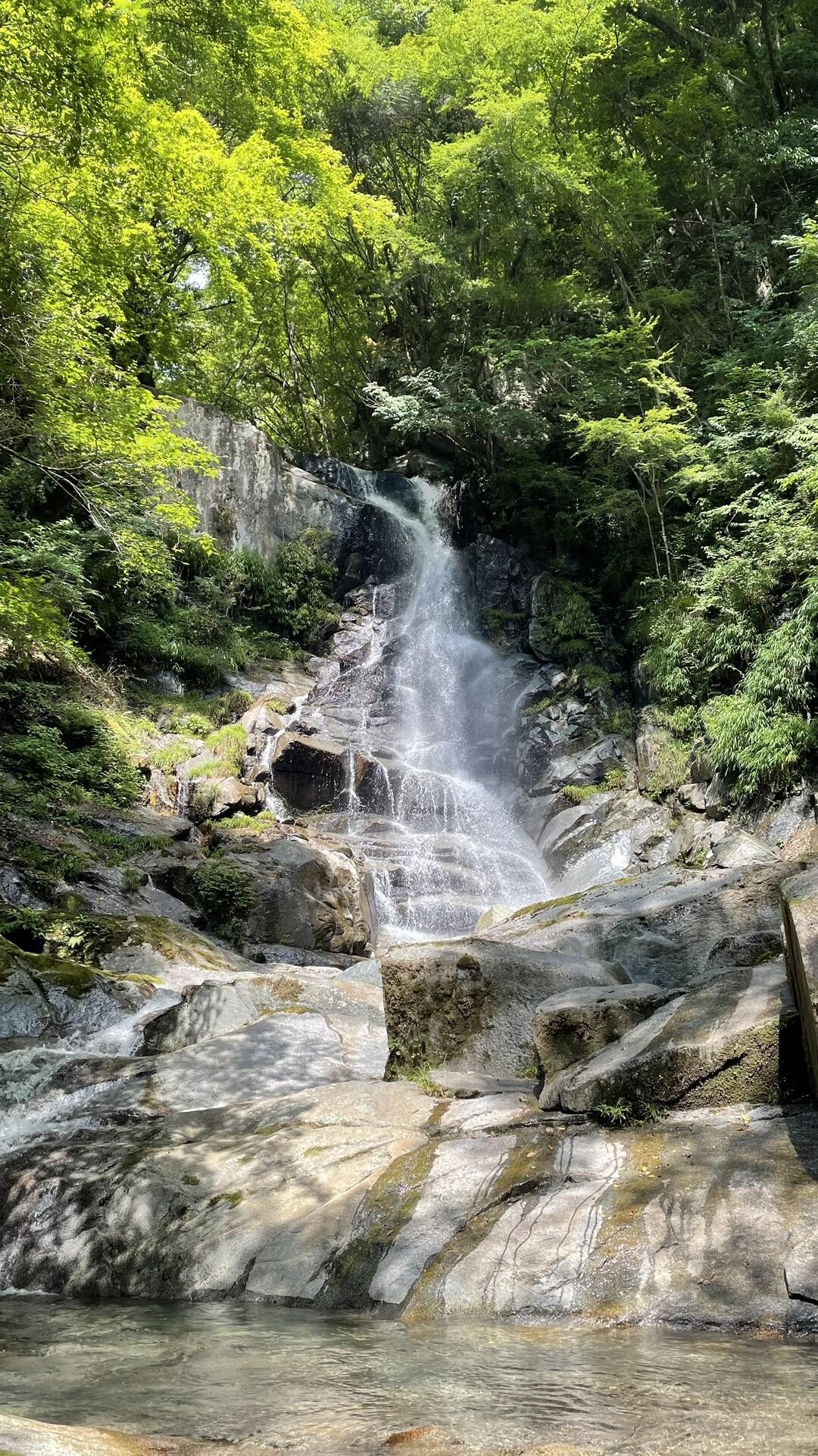 丹沢モロクボ沢 / nkakさんの塔ノ岳・丹沢山・蛭ヶ岳の活動データ | YAMAP / ヤマップ