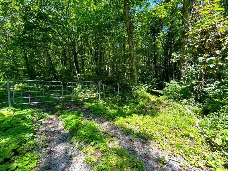 七時雨山(南峰) / tatsuyaさんの七時雨山・田代山の活動データ | YAMAP / ヤマップ