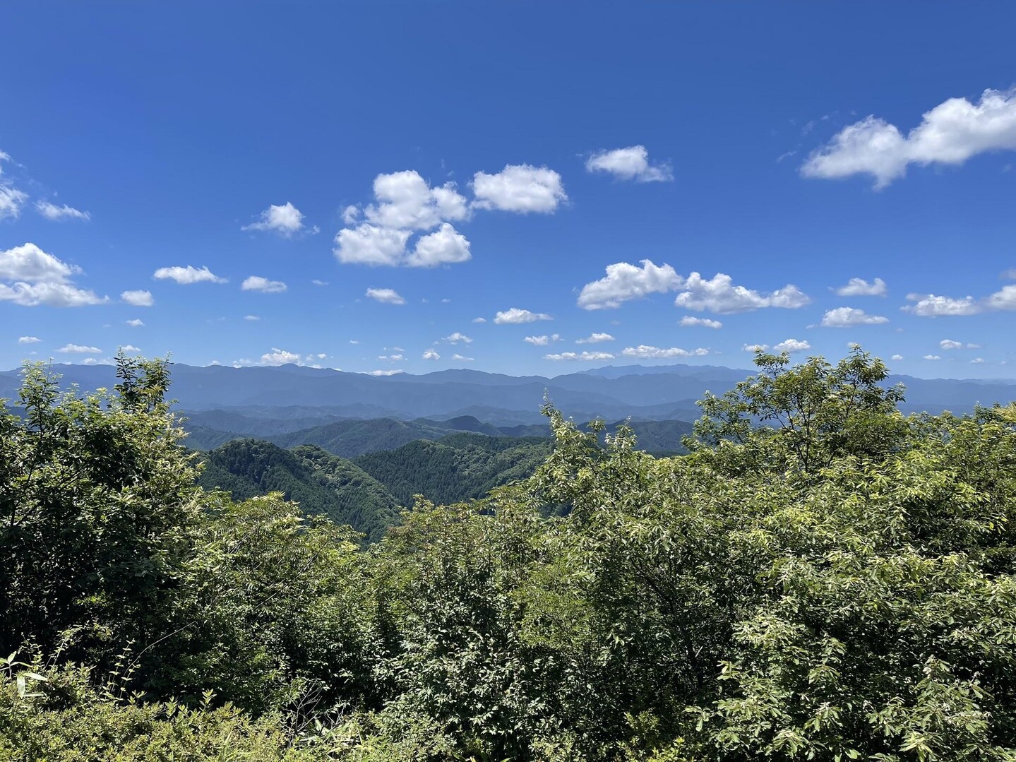 高城岳・三郎岳 / KANさんの三郎岳・高城岳の活動データ | YAMAP / ヤマップ