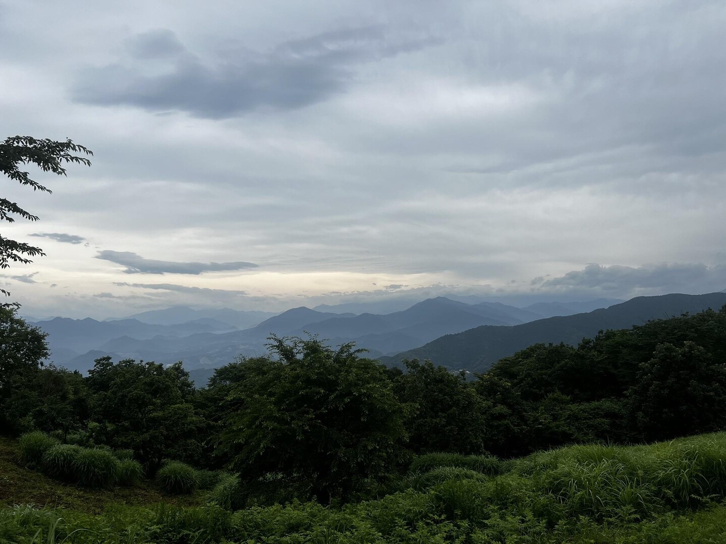 高尾山・景信山・赤岩山・富士小屋山・南郷山・陣馬山・神変山 / yuhao.Zさんの高尾山・陣馬山・景信山の活動データ | YAMAP / ヤマップ