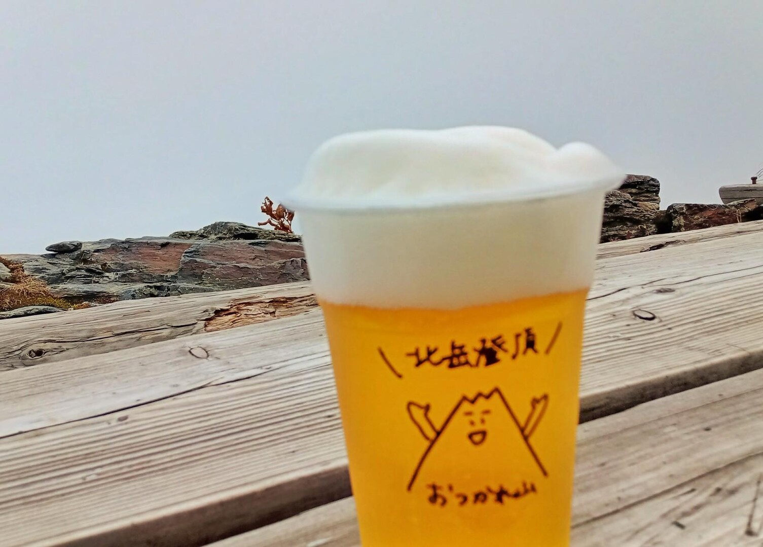 北岳 / Yos 8611さんの北岳・間ノ岳・農鳥岳の活動データ | YAMAP / ヤマップ