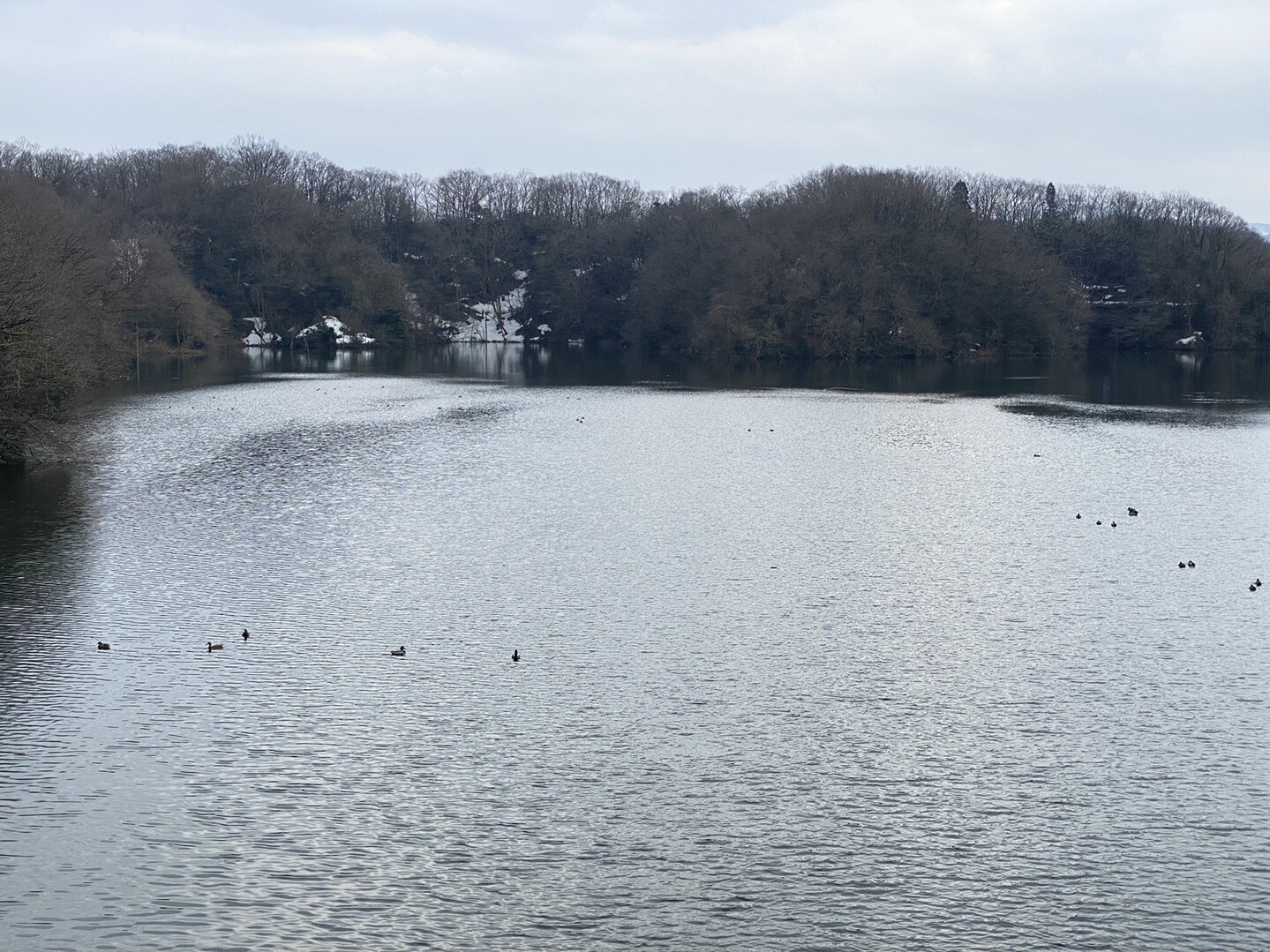 古洞の森6耐 / Ikkoさんのトレイルランニングの活動データ | YAMAP / ヤマップ