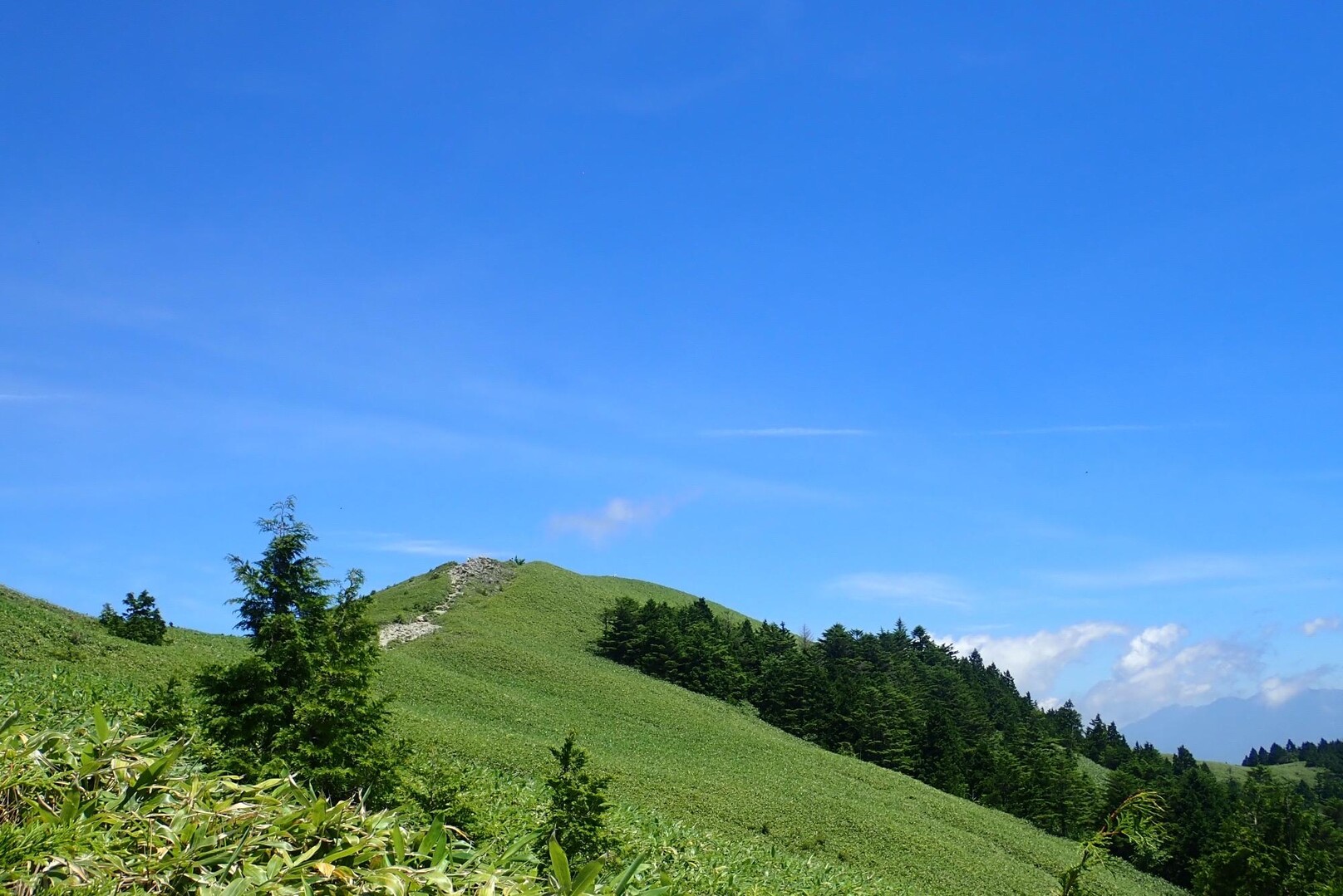 富士見台 / rey_seroさんの恵那山・大判山・神坂山の活動日記 | YAMAP / ヤマップ