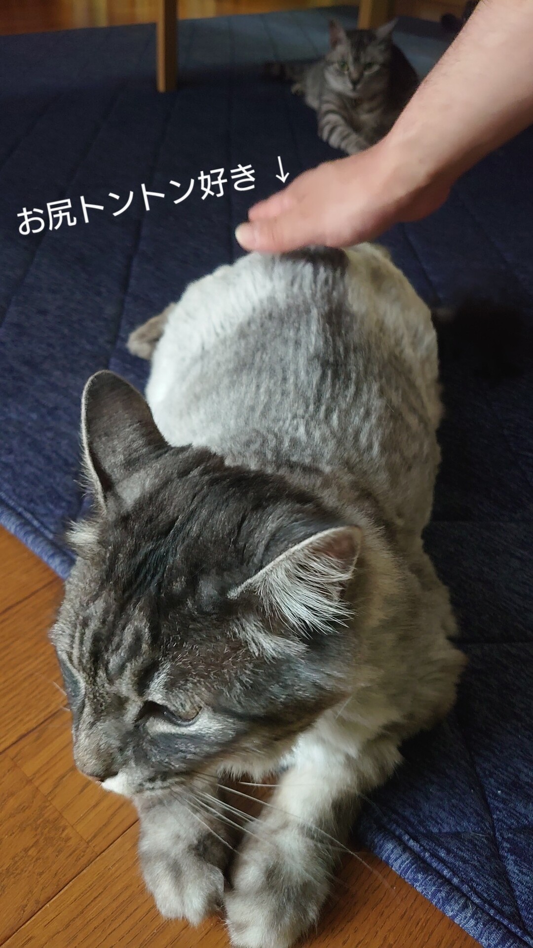 2022.07.08(金) 08:24 / TaKさんのモーメント | YAMAP / ヤマップ