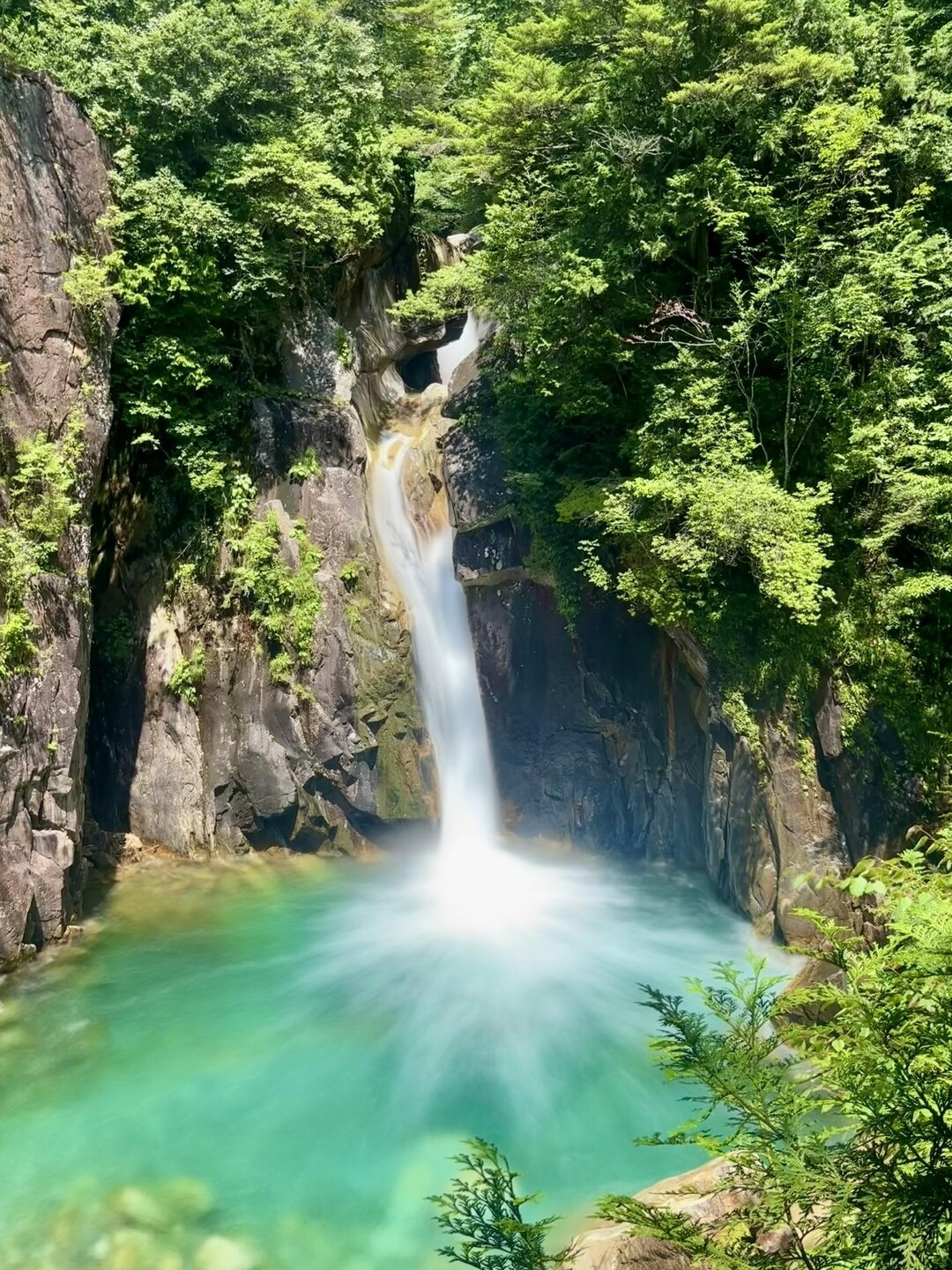 柿其渓谷＆阿寺渓谷 / KATさんの奥三界岳・夕森山の活動日記 | YAMAP / ヤマップ