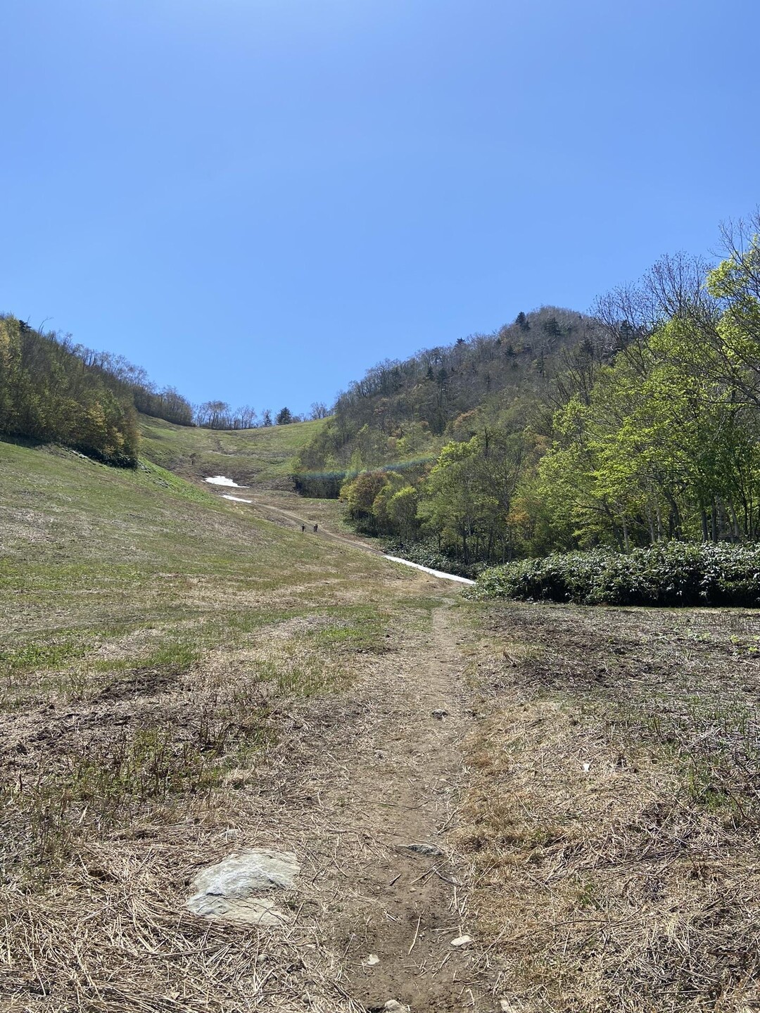 手稲山・ネオパラ / Michiyoさんの手稲山・奥手稲山の活動データ | YAMAP / ヤマップ