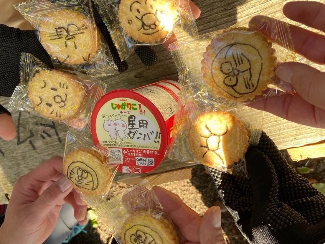 星田60連山 / ゆうさんの交野山・国見山の活動データ | YAMAP / ヤマップ