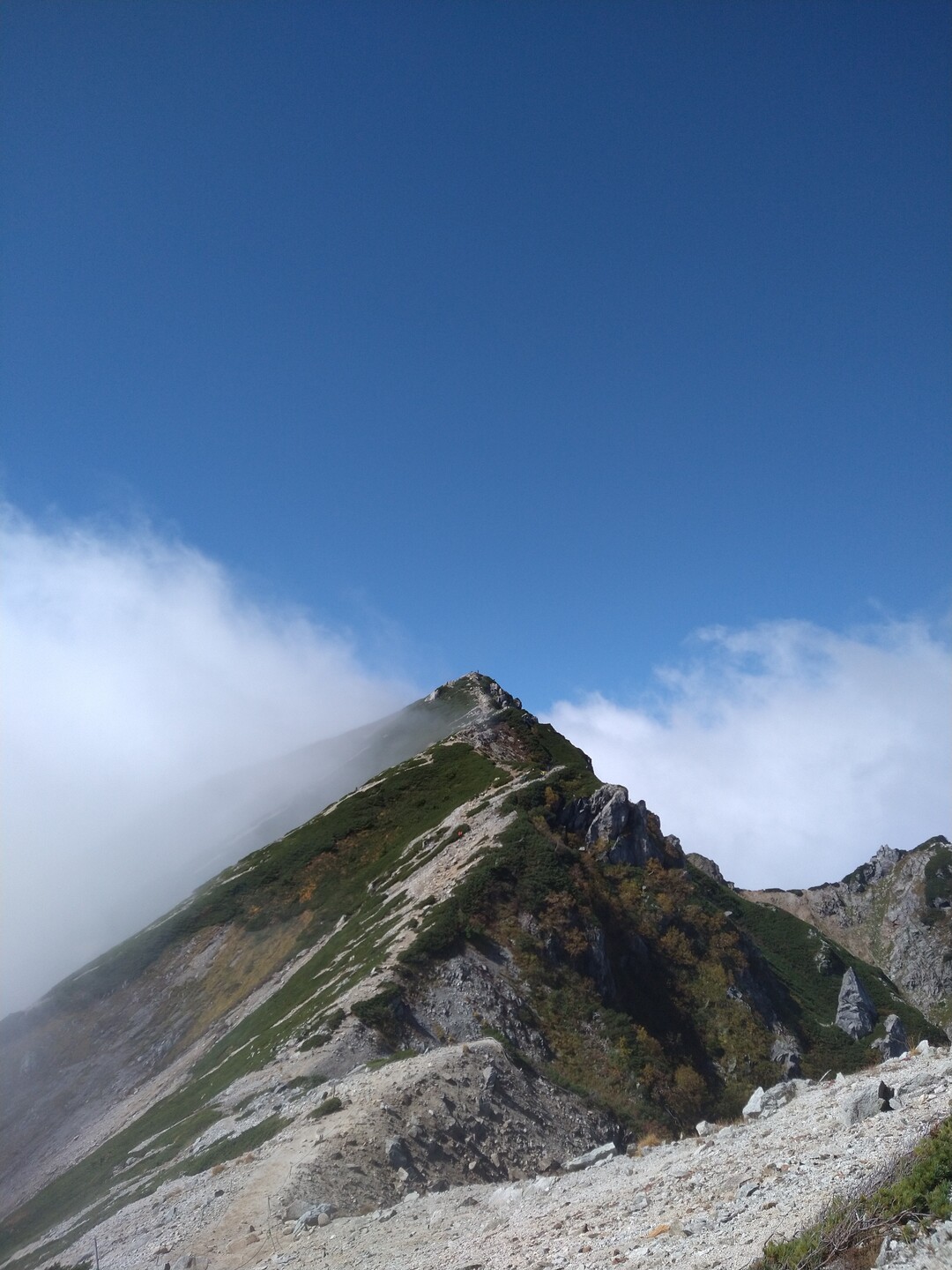 八方山・唐松岳・大黒岳・白岳 / Bluesさんの鹿島槍ヶ岳・五竜岳（五龍岳）・唐松岳の活動データ | YAMAP / ヤマップ
