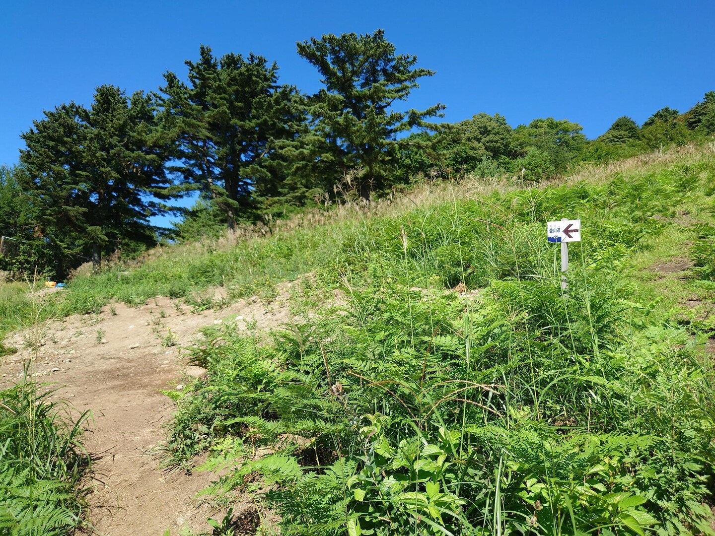 磐梯山・赤埴山 / yumi.mさんの磐梯山・雄国山・赤埴山の活動データ | YAMAP / ヤマップ