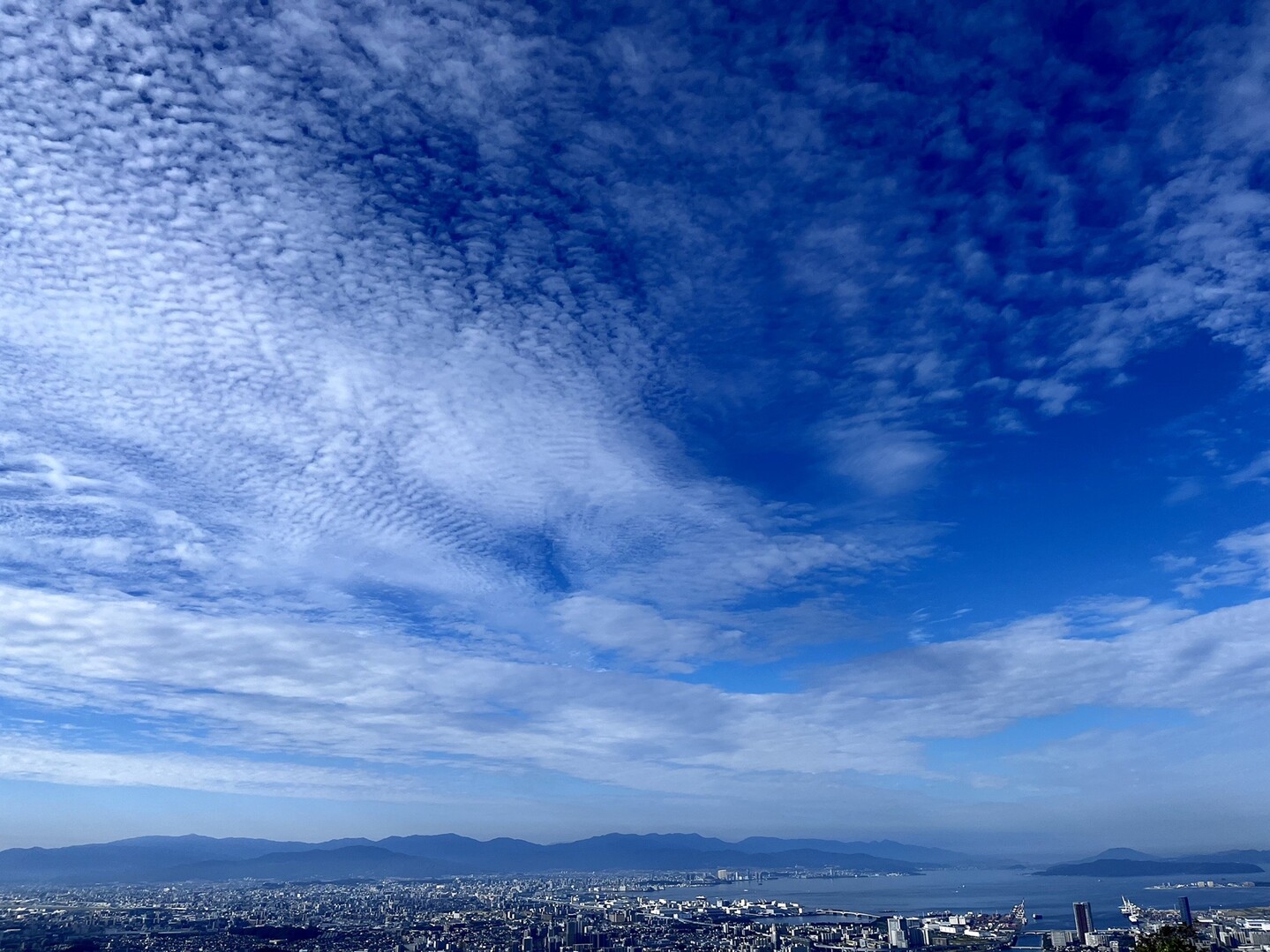 立花山・三日月山 / hirajunさんの立花山・三日月山・城ノ越山の活動データ | YAMAP / ヤマップ