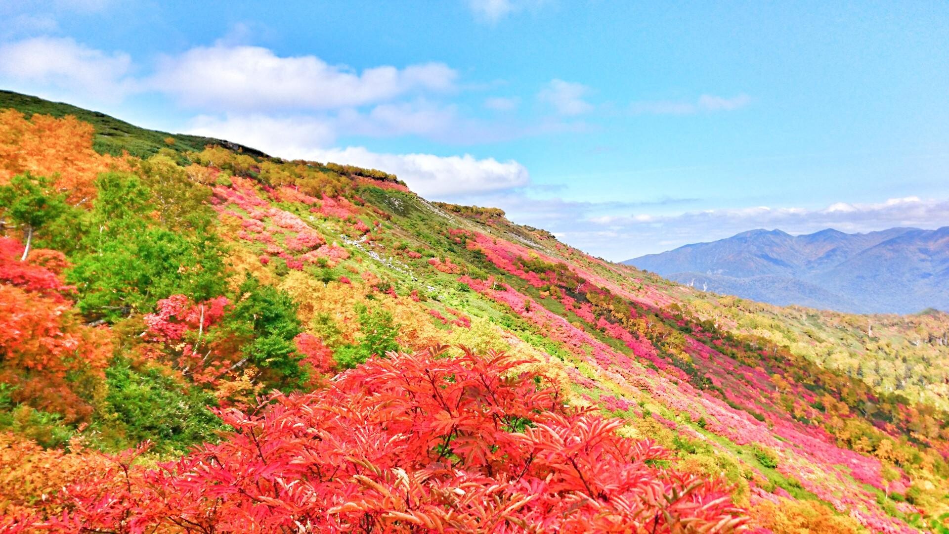 Yeah🍁 / ミヒルさんのモーメント | YAMAP / ヤマップ