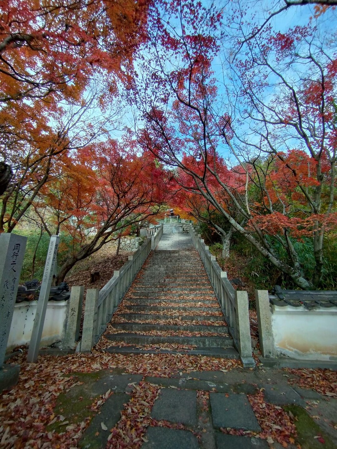 小豆島遍路 2日目 / Maunaさんの小豆島・星ヶ城山・皇踏山の活動データ | YAMAP / ヤマップ