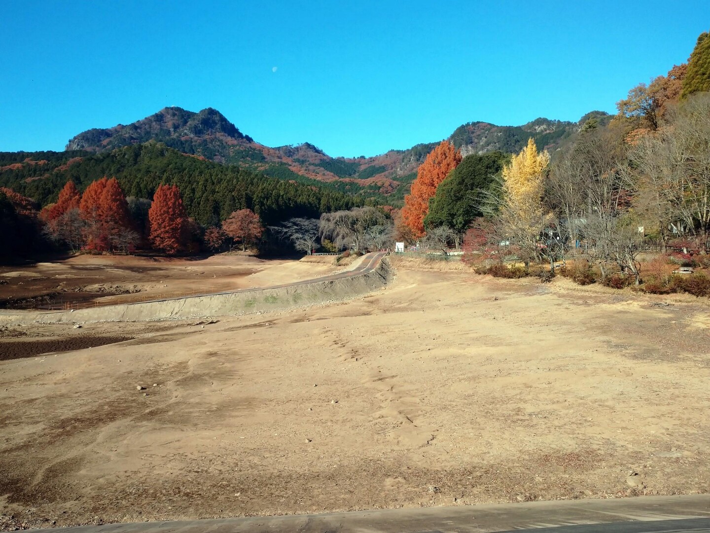 古賀志山(関東百名山:65座目) / hachi-mituさんの古賀志山・赤岩山・鞍掛山・男抱山・半蔵山の活動データ | YAMAP / ヤマップ