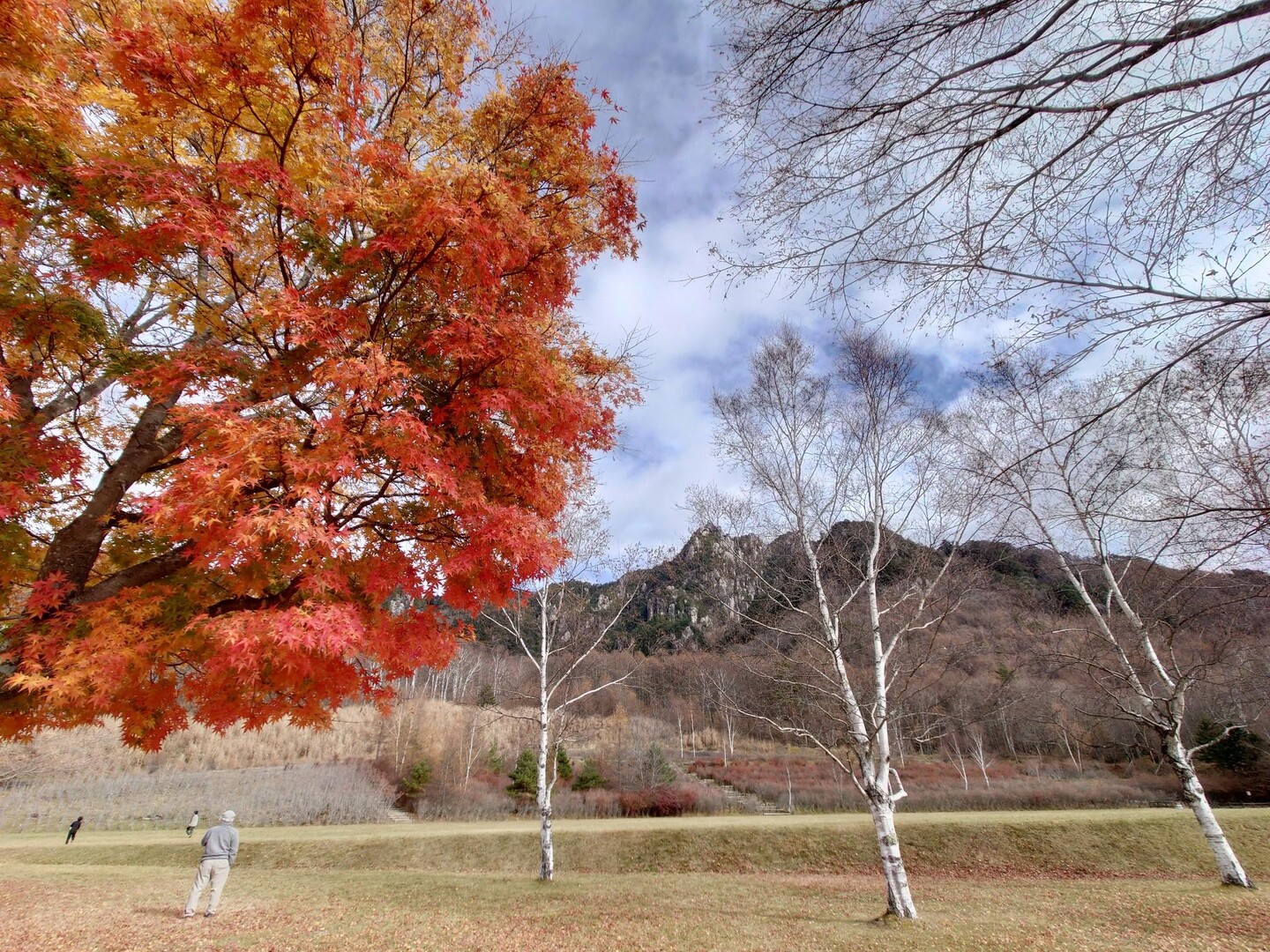 瑞牆山、カンマンボロン / yukiさんの瑞牆山・金峰山の活動日記 | YAMAP / ヤマップ