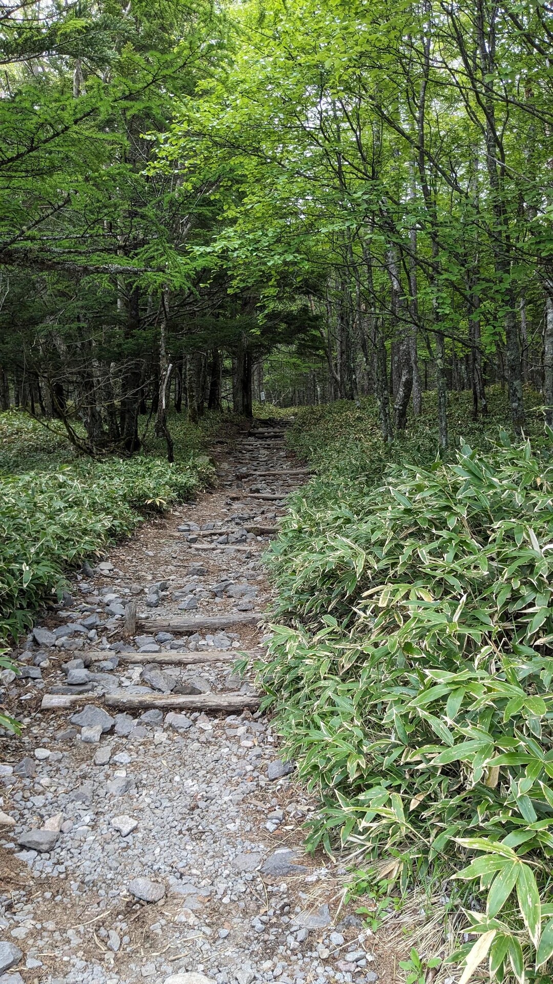 蓼科山【8/100】 / dkさんの蓼科山・横岳・縞枯山の活動データ | YAMAP / ヤマップ