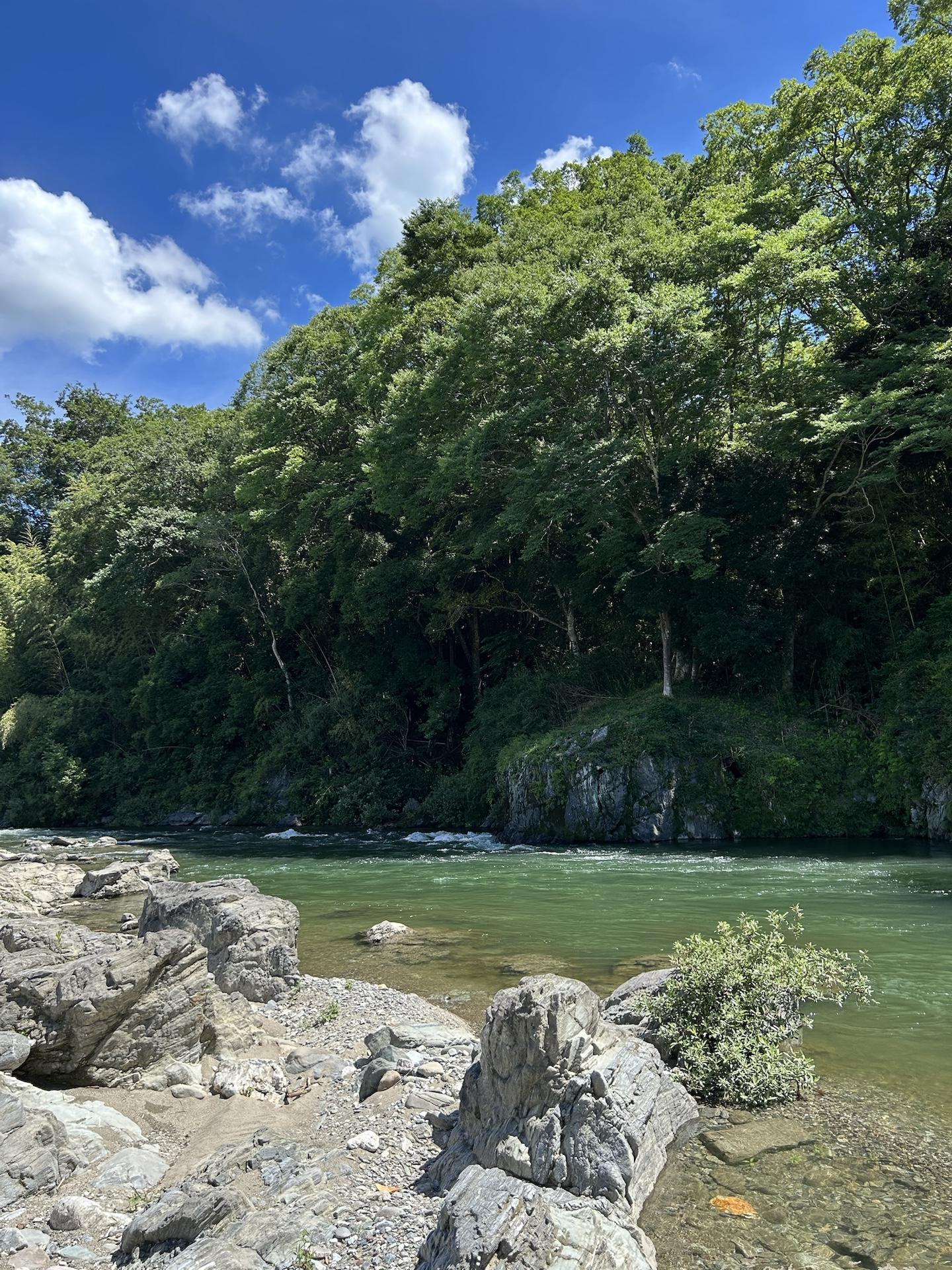 吉野川ダウンリバー2 / nomさんの葛城修験エリアマップ（金剛山周辺）の活動データ | YAMAP / ヤマップ