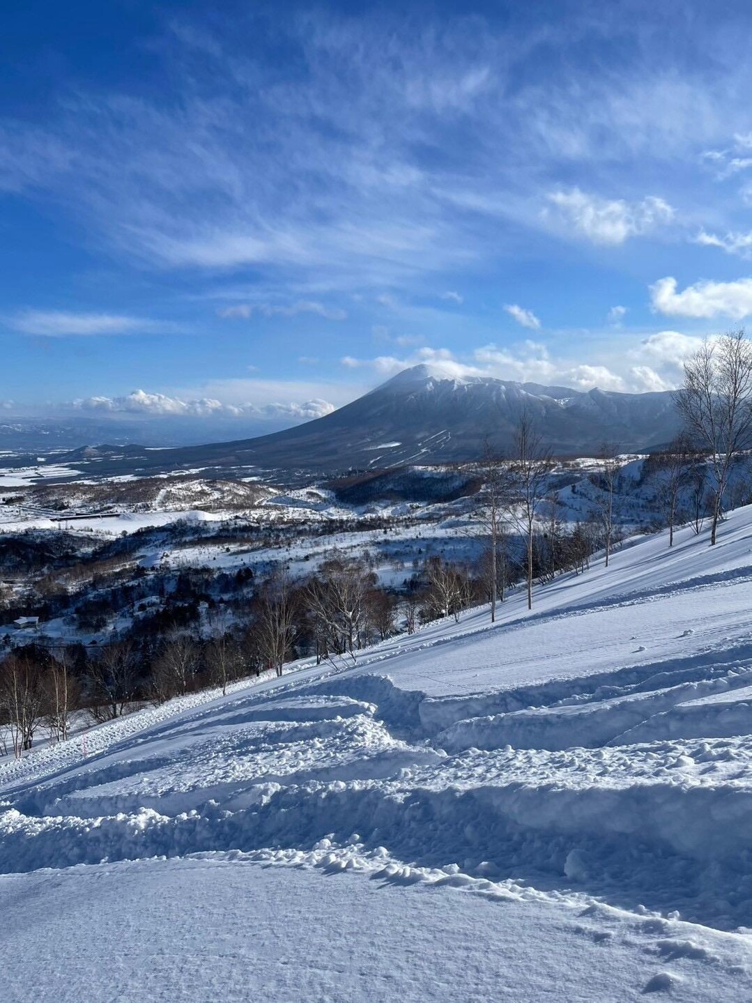 八幡平スノーシューデビュー / yayaさんの岩手山・八幡平・安比高原 50km トレイルの活動日記 | YAMAP / ヤマップ