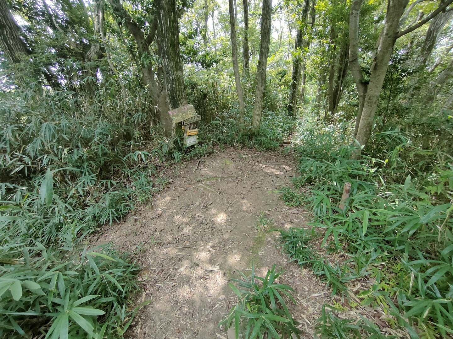 komaJさんの投稿したフィールドメモ | YAMAP / ヤマップ