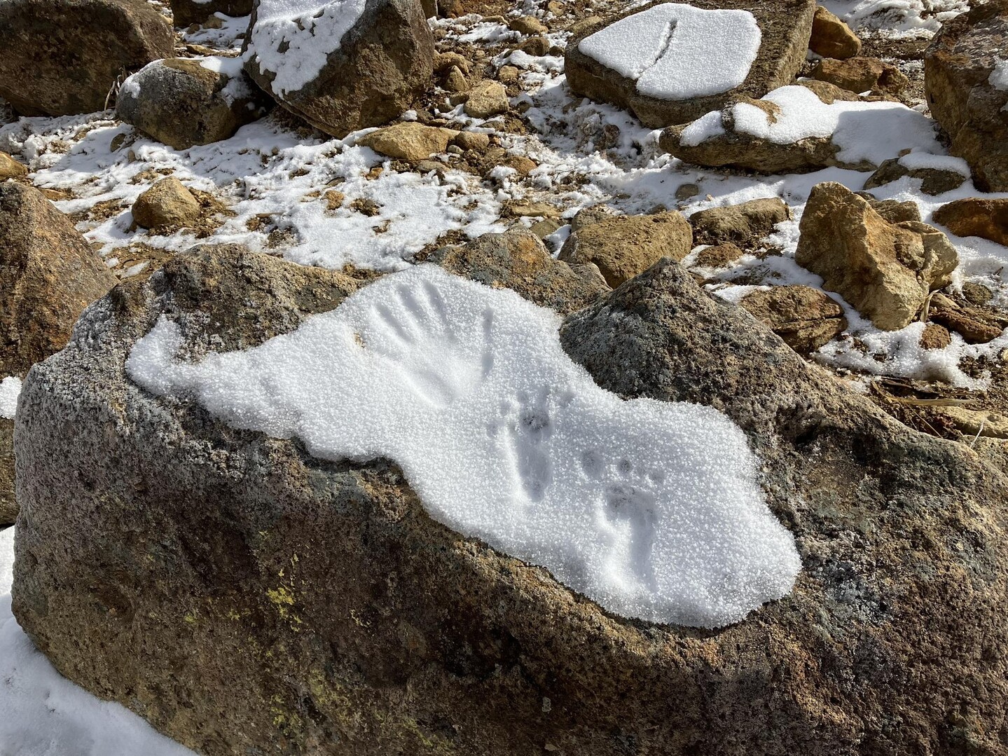あれれれ⁈ ハシャギ足りない⁉︎久住登山 / Hanamamさんの九重山（久住山）・大船山・星生山の活動データ | YAMAP / ヤマップ