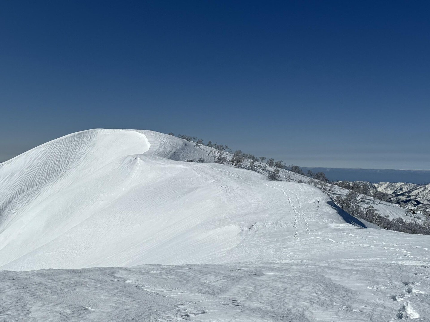 取立山・鉢伏山 / nobさんの取立山の活動データ | YAMAP / ヤマップ