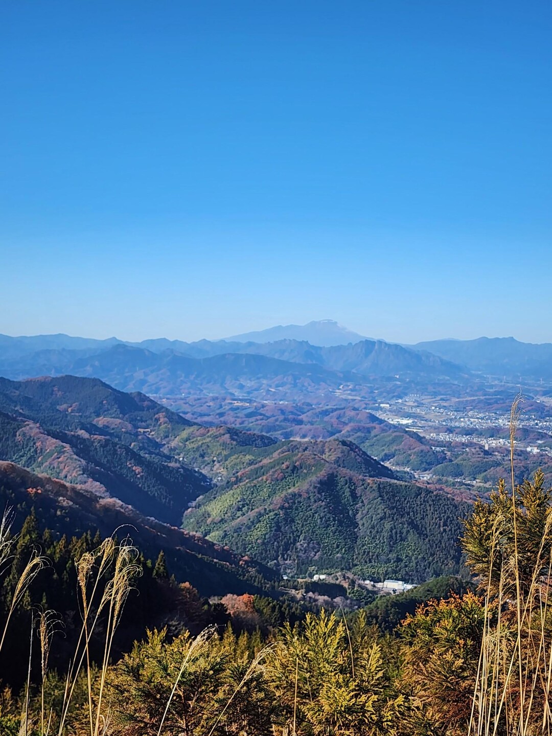 天狗山 / Monaさんの御荷鉾山・オドケ山・桐ノ城山の活動データ | YAMAP / ヤマップ