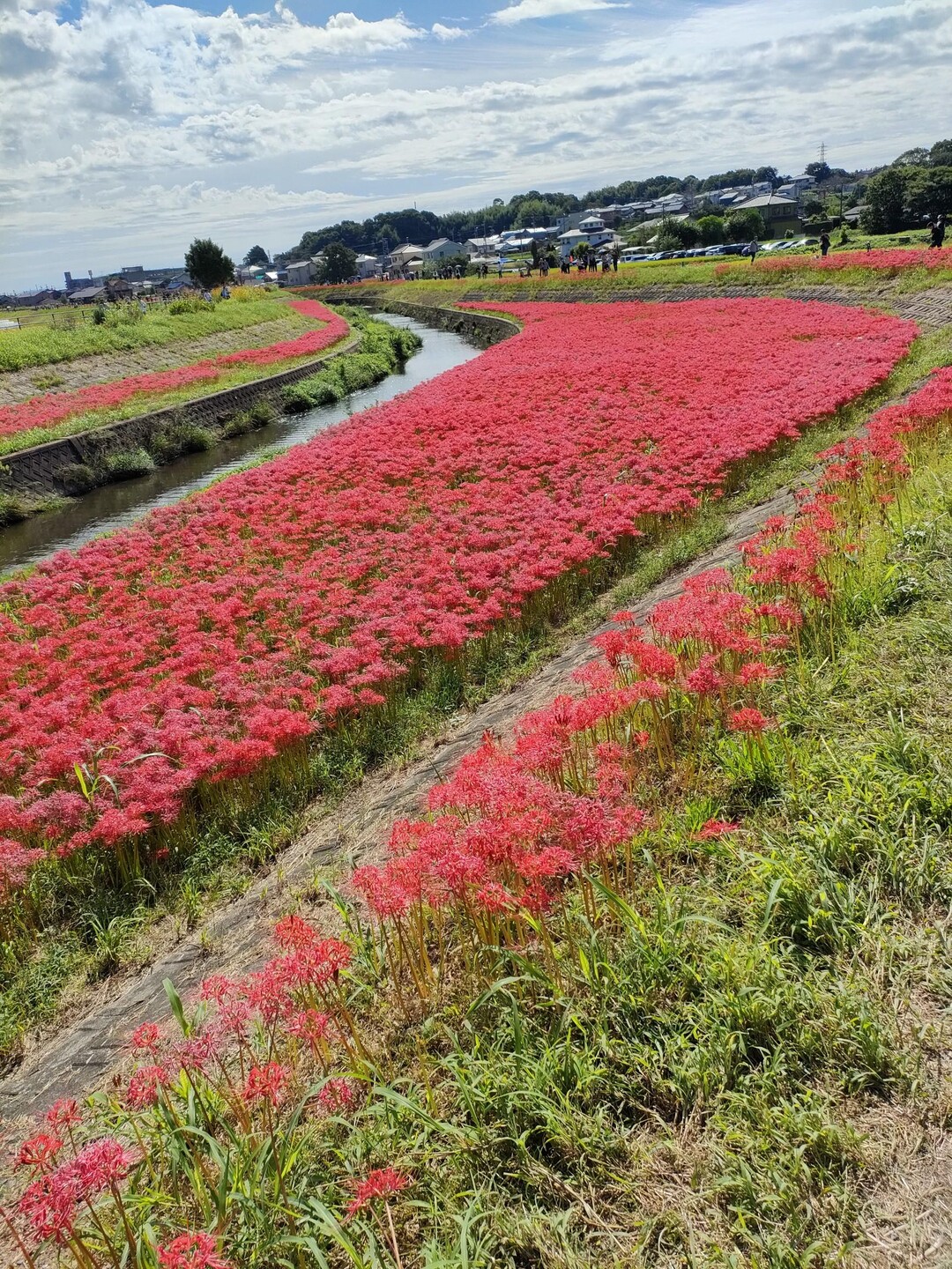 娘のリクエストに応えて😁 / TAKEさんのモーメント | YAMAP / ヤマップ