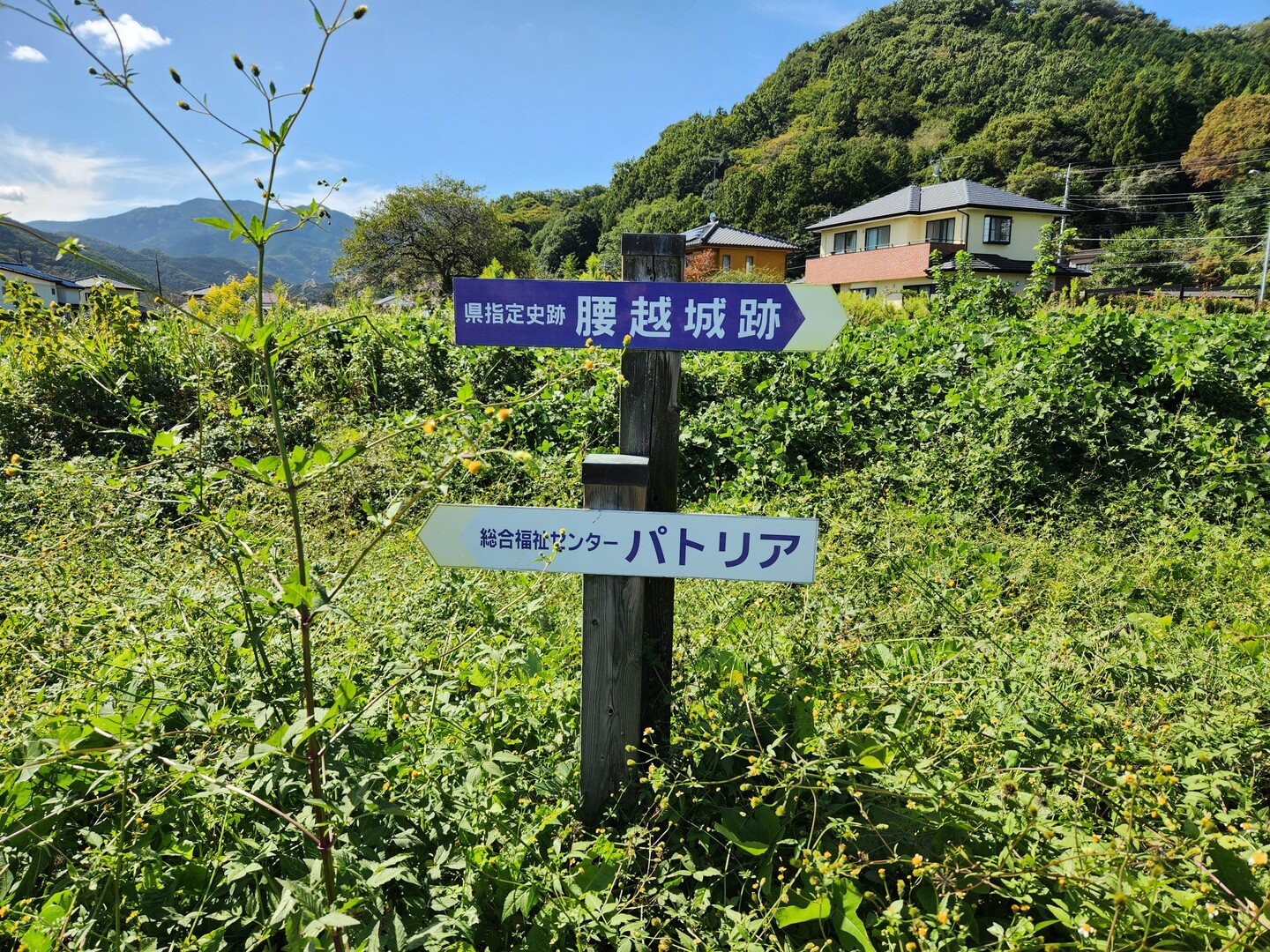 城山（腰越城跡）・石尊山 / dxcさんの堂平山・笠山（乳房山）・大霧山の活動データ | YAMAP / ヤマップ