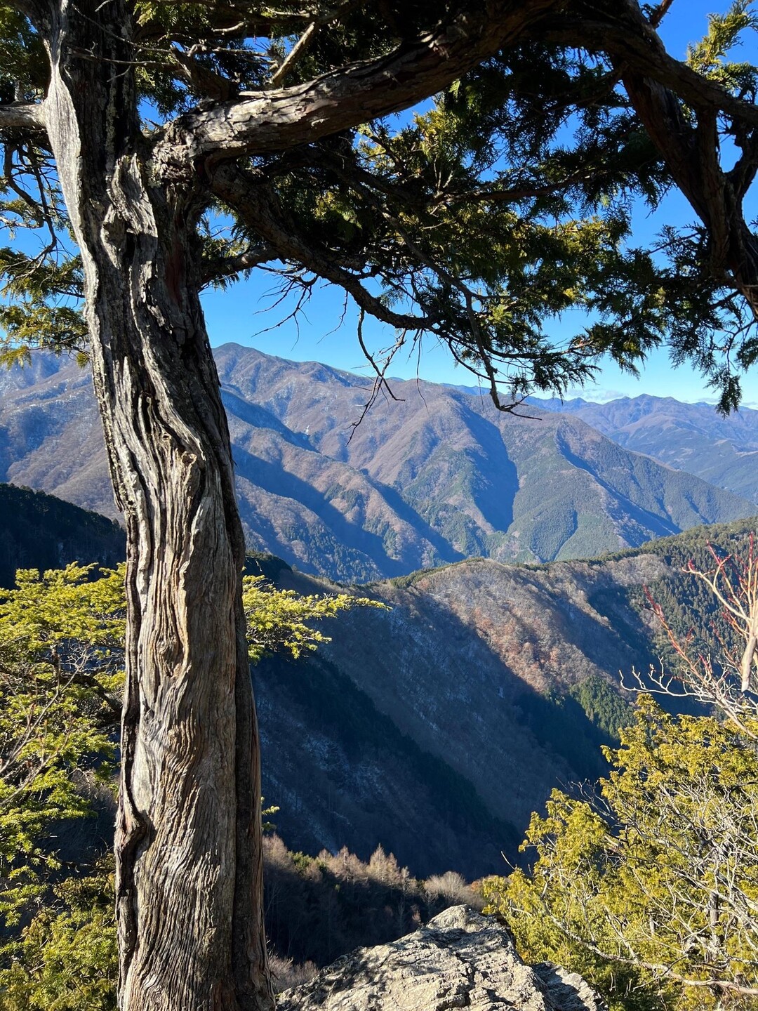 R4、5月〜12月の活動 / 桔梗巡礼パパさんの雲取山・鷹ノ巣山・七ツ石山の活動データ | YAMAP / ヤマップ