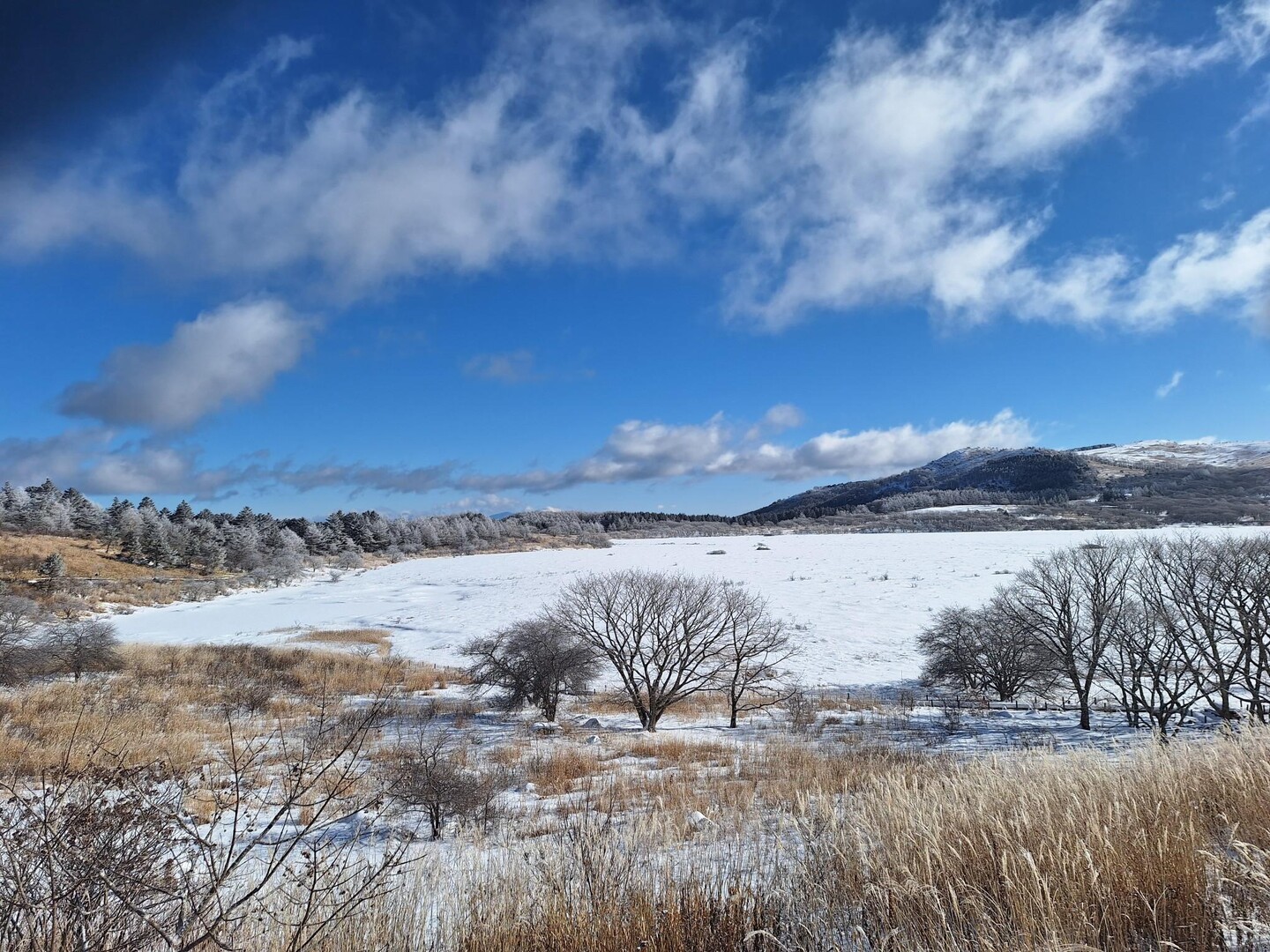 八島湿原周回 / syo-zoさんのランニングの活動データ | YAMAP / ヤマップ
