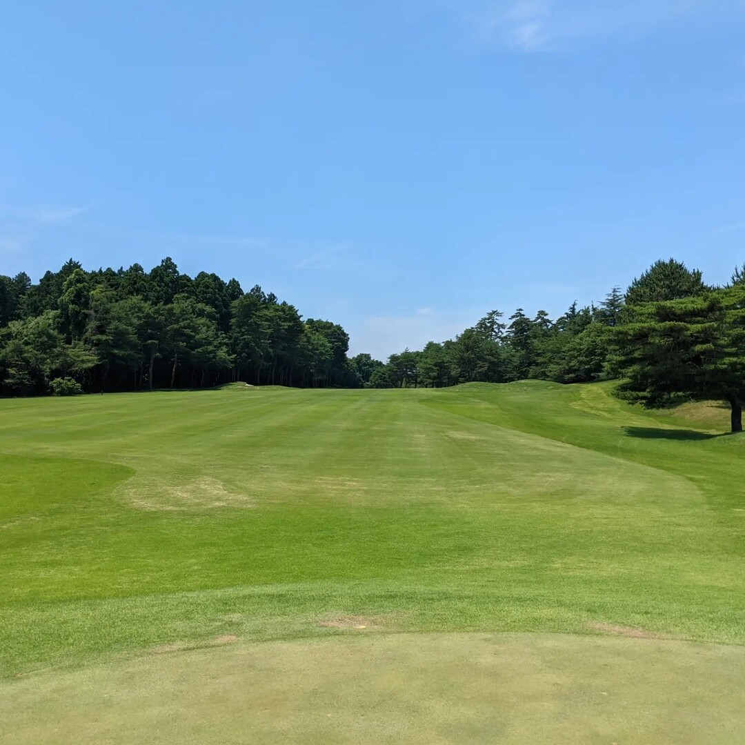 ちょっとしたワケあって、友達に頼まれて素... / maaさんのモーメント | YAMAP / ヤマップ