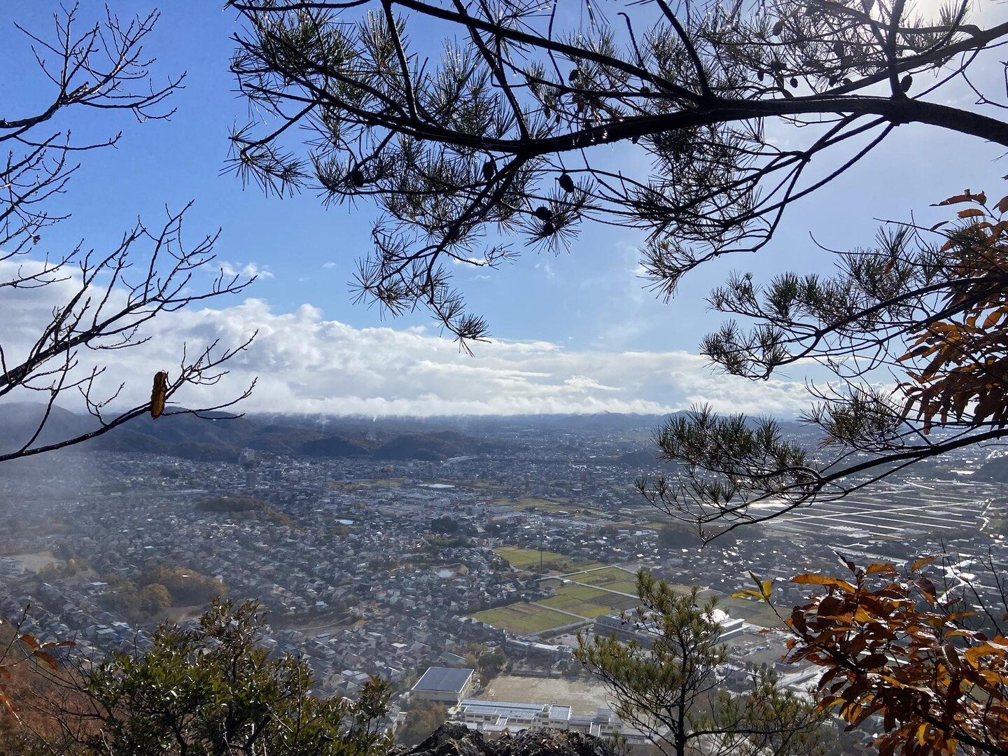 予定を変更して八木山から愛宕山へ 2024/12/08 / ひろ0712さんの各務原アルプス（関南アルプス）・八木三山の活動データ | YAMAP / ヤマップ