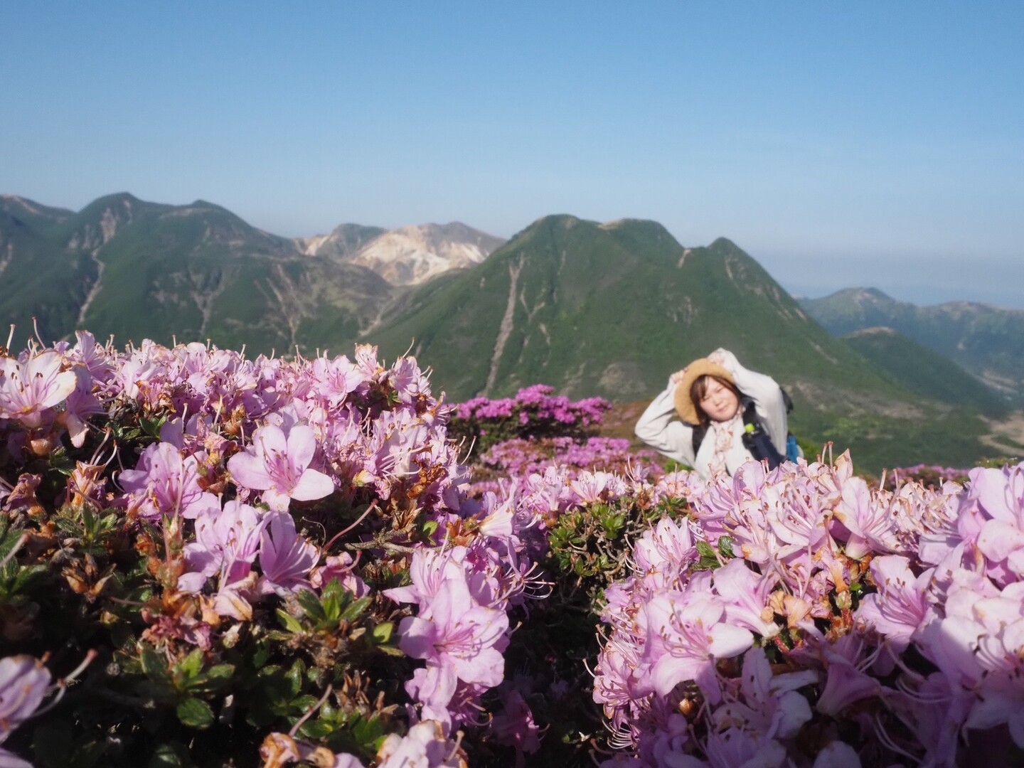 2022年平治岳ミヤマキリシマ🌸 / minakoさんの九重山（久住山）・大船山・星生山の活動データ | YAMAP / ヤマップ