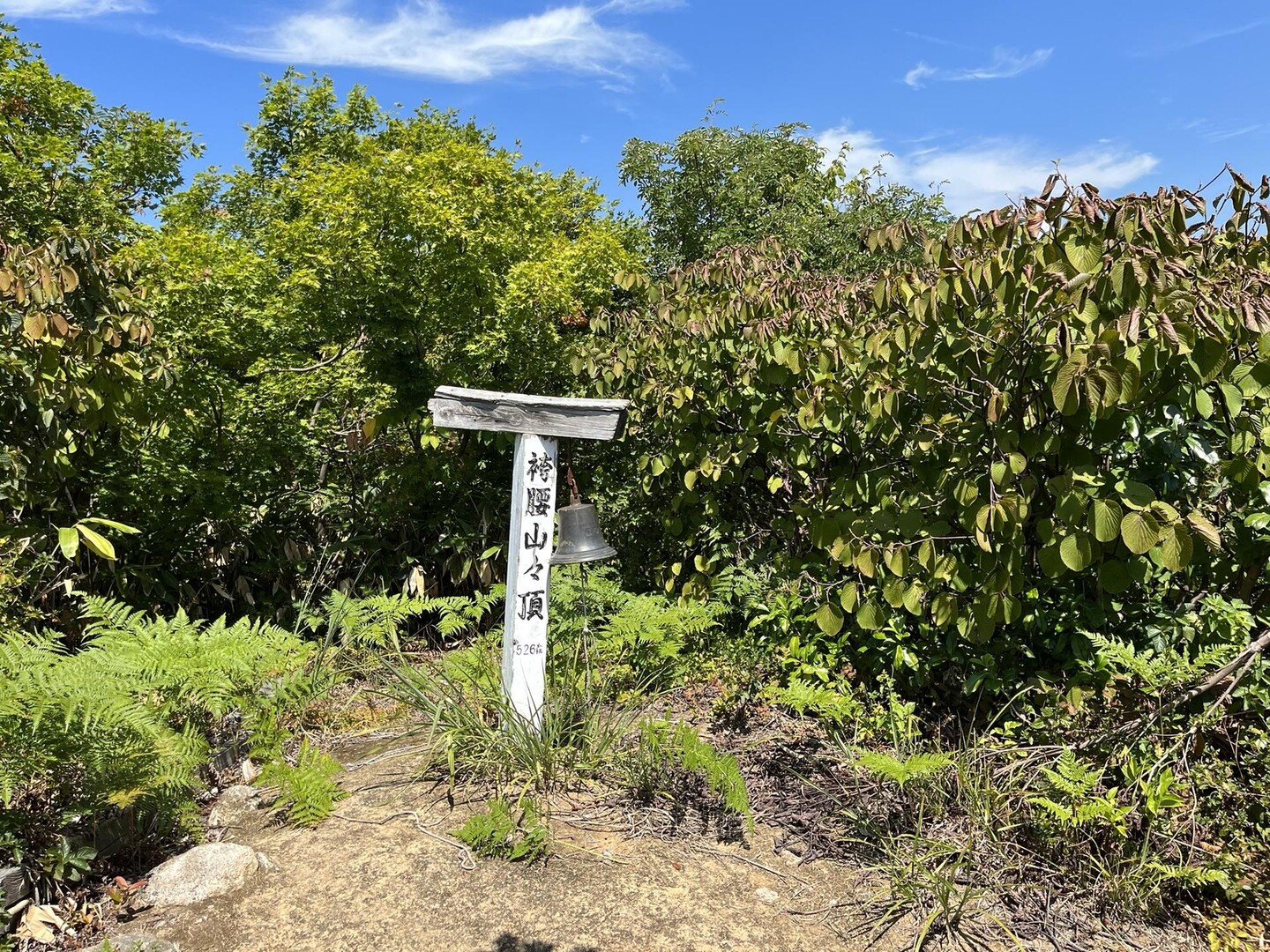 バスケットボール日本代表おめでとう / Marchinさんのモーメント | YAMAP / ヤマップ