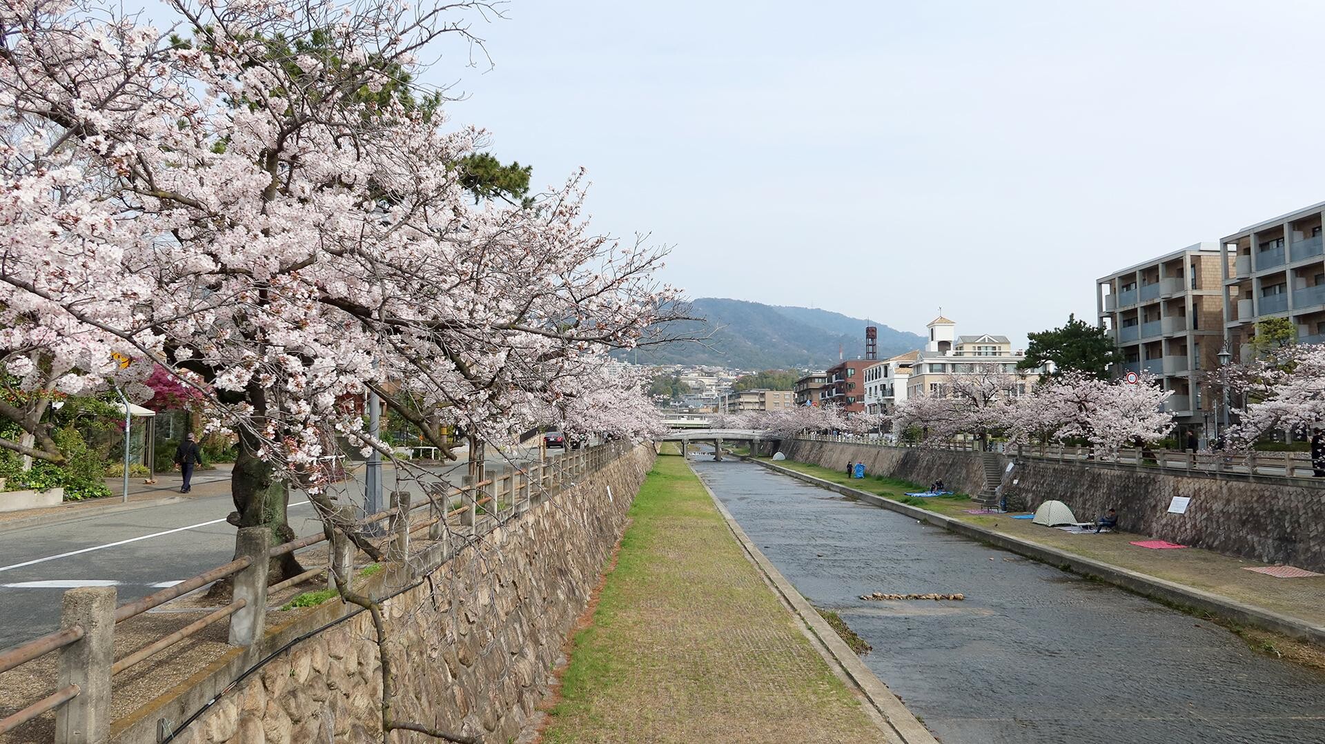 20240407_芦屋から六甲最高峰 / saka_masaさんの六甲山・長峰山・摩耶山の活動データ | YAMAP / ヤマップ