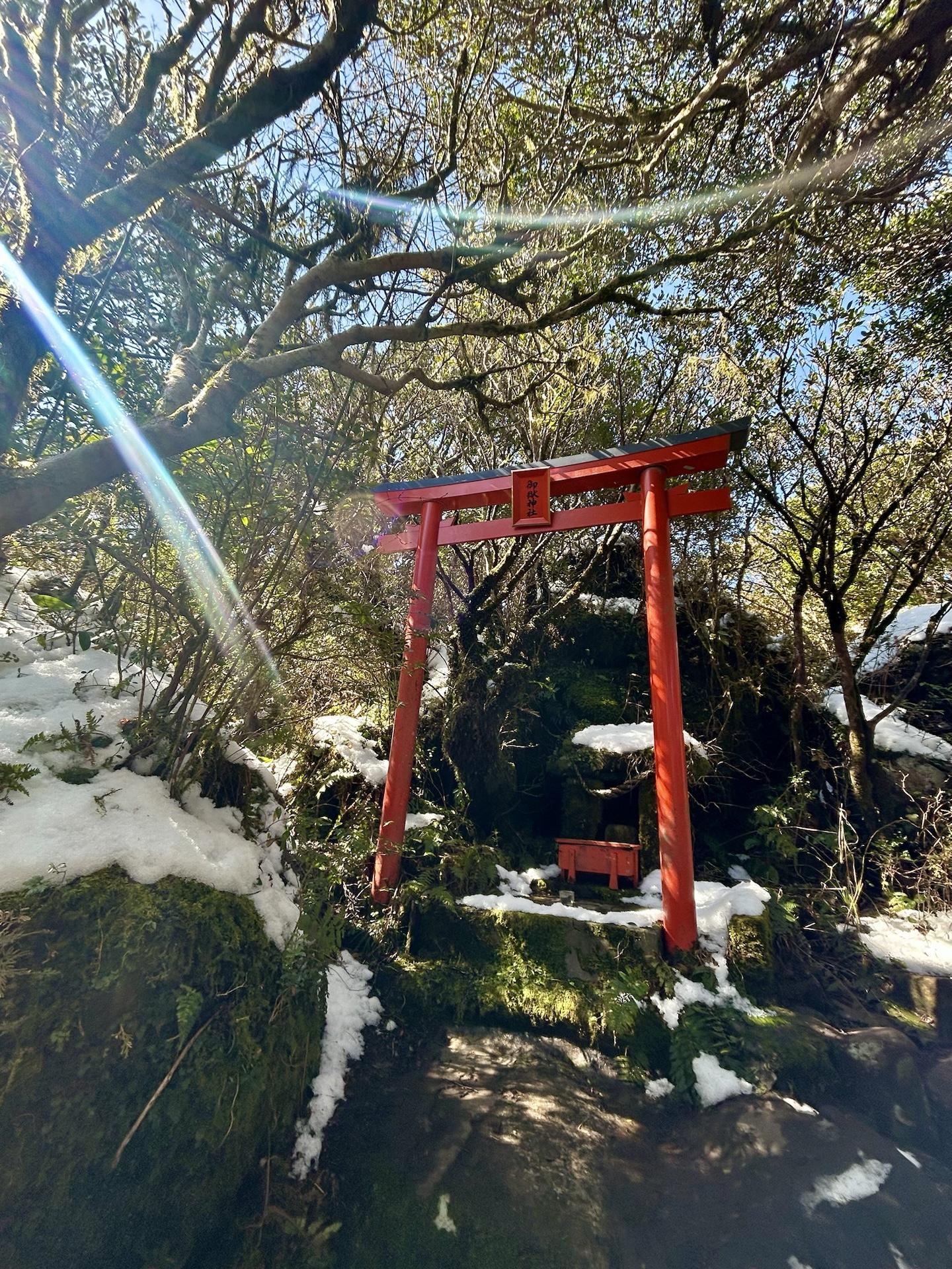 開聞岳⛰️ / Chiekoさんの開聞岳の活動データ | YAMAP / ヤマップ