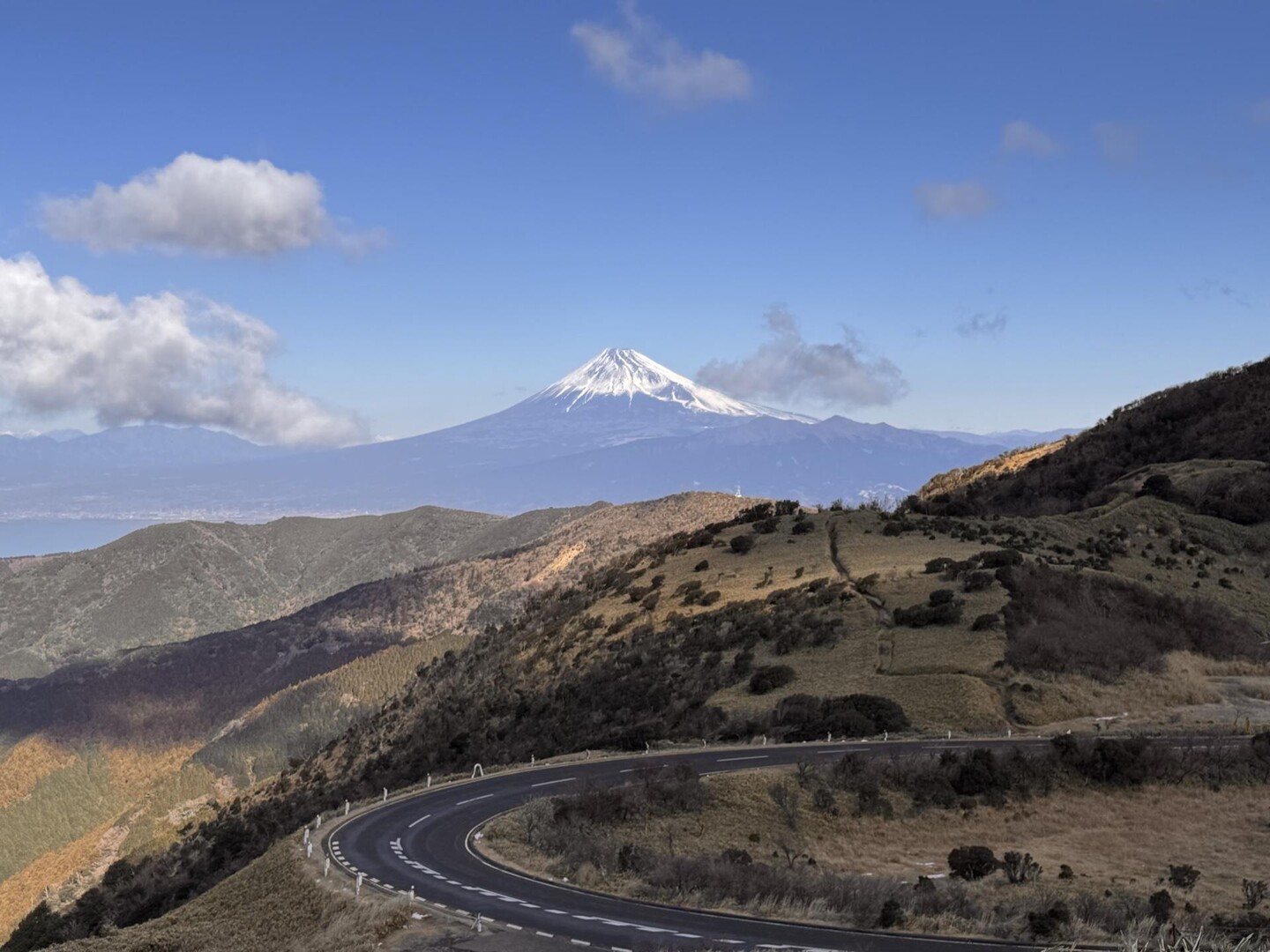 達磨山ピストン / chi._.さんの金冠山・達磨山・葛城山の活動データ | YAMAP / ヤマップ
