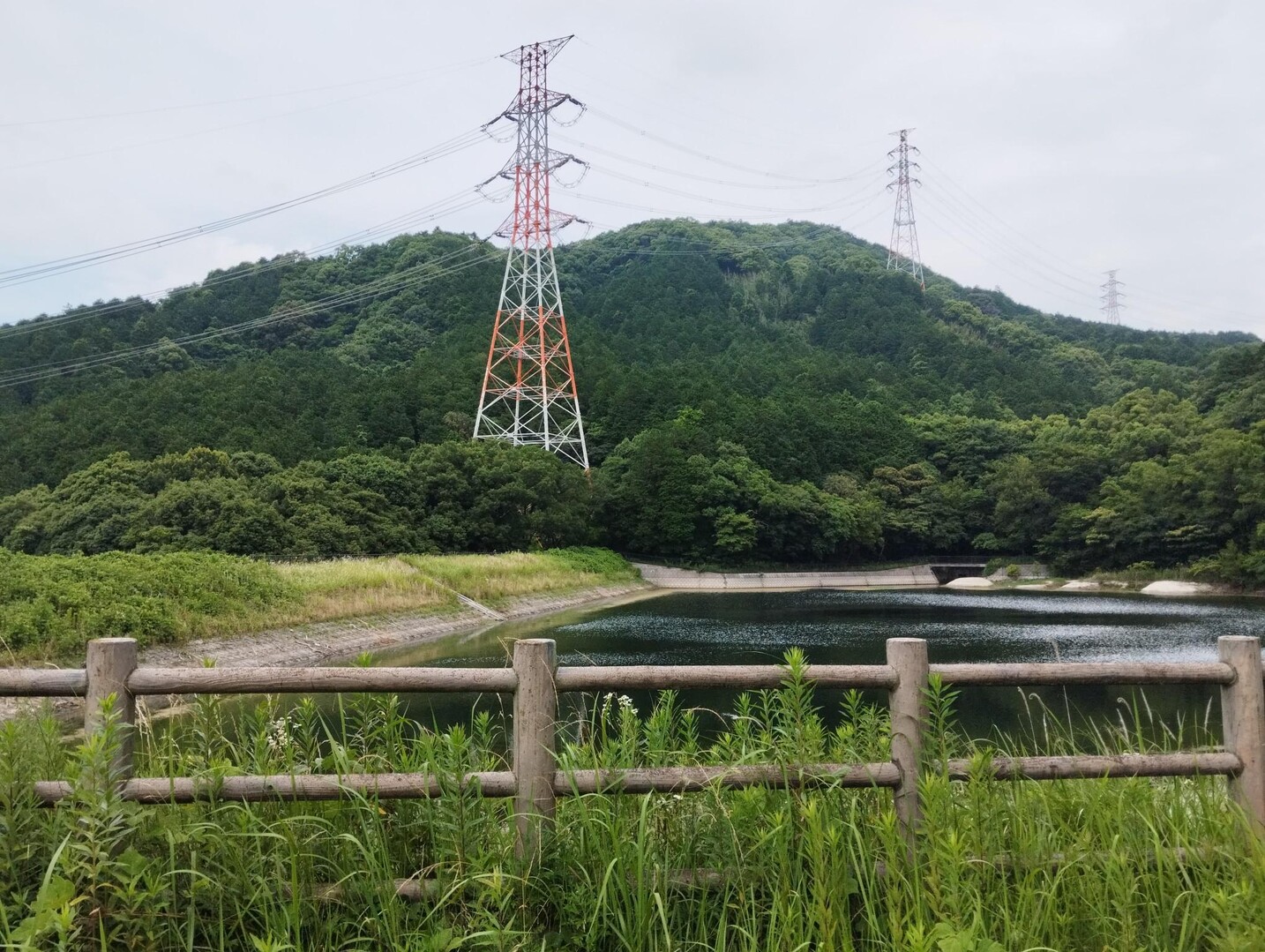別所山〜乙金山-2024-06-16 / Guestさんの四王寺山・大城山・大原山の活動日記 | YAMAP / ヤマップ